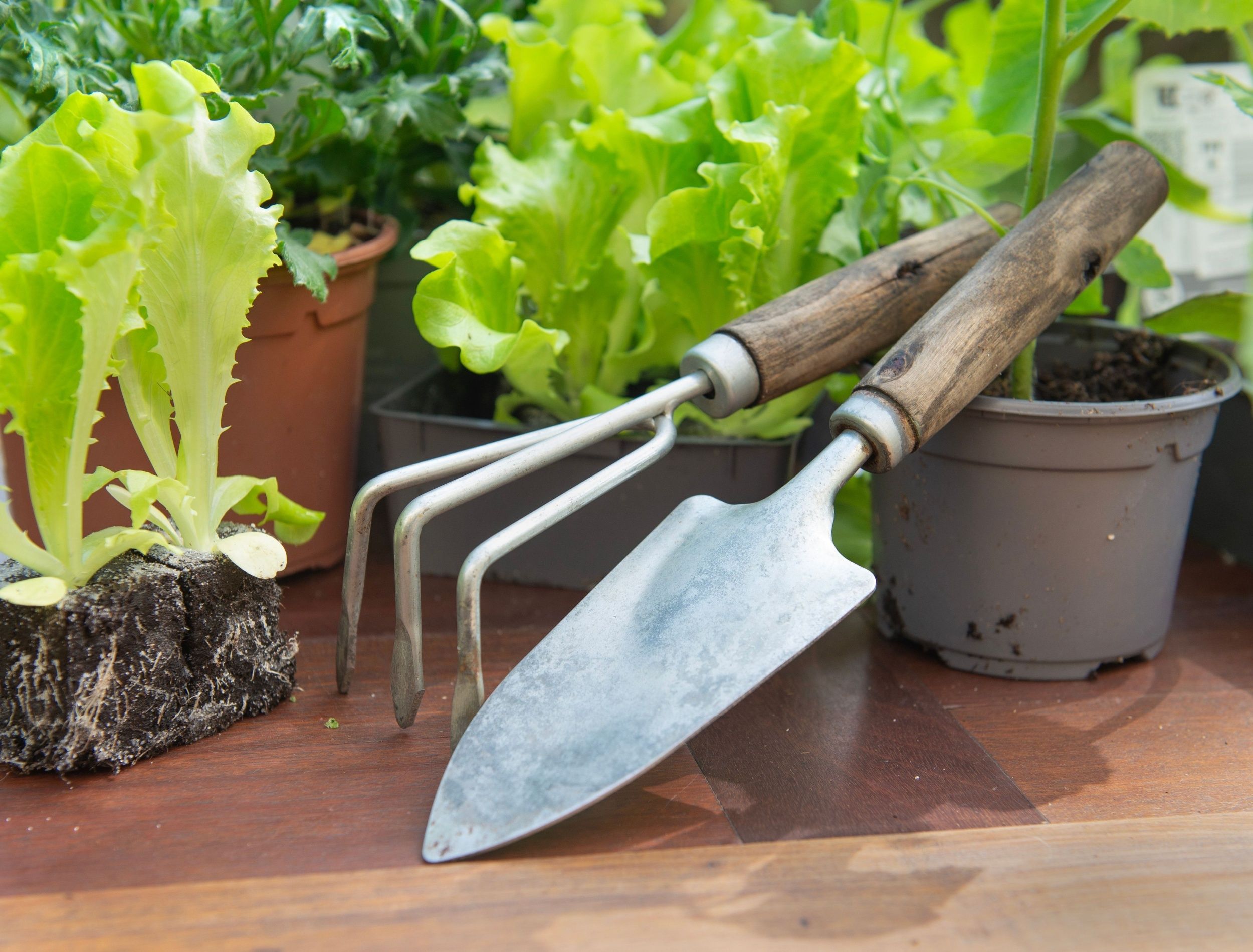 Small garden hand shovel store