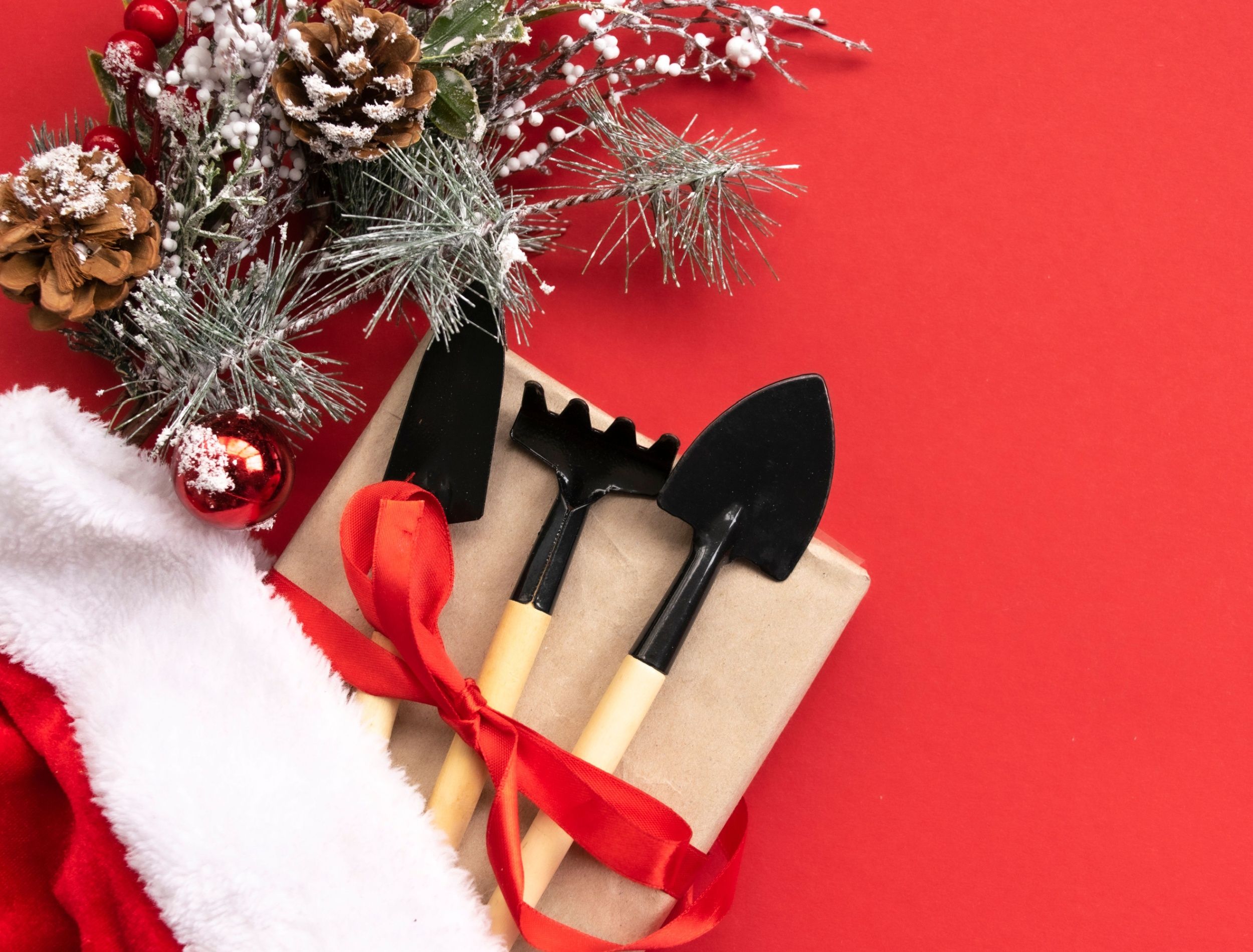 Backyard Boss: Gardening, Backyard projects, Landscaping, Outdoor ...