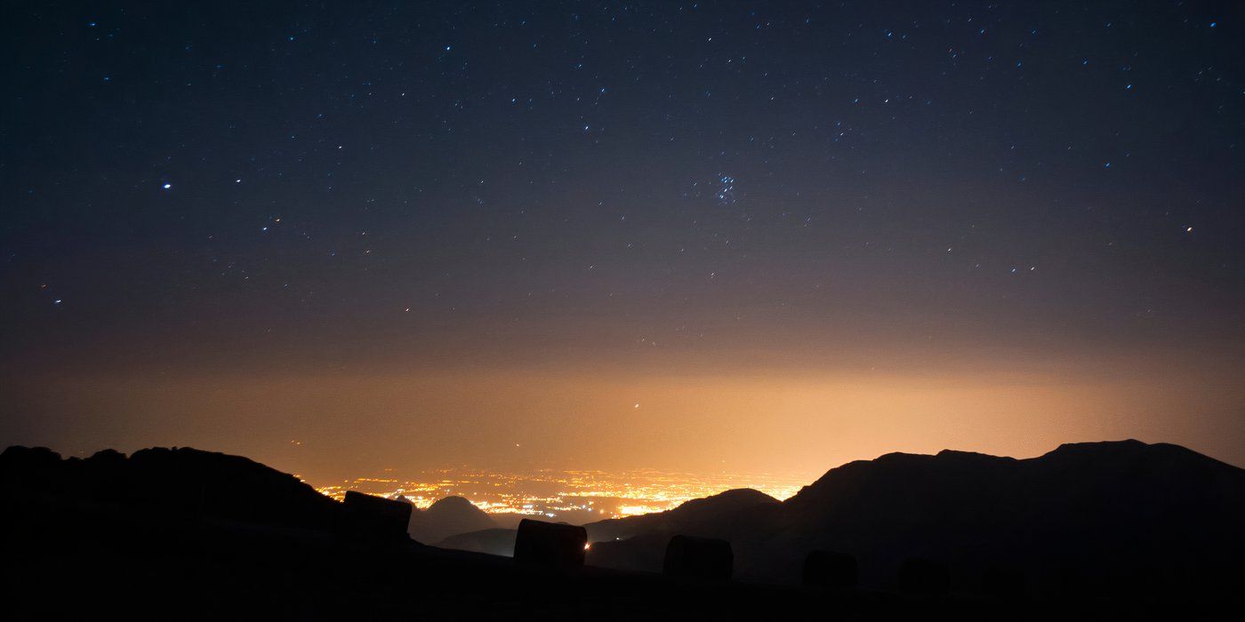 Birds and Outdoor Lights: How Landscape Lighting Poses Risks