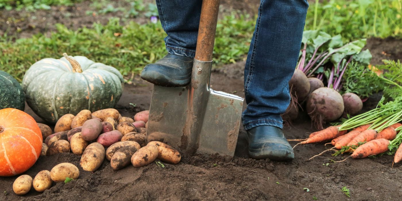 6 Outdoor and Indoor Activities to Do This Fall