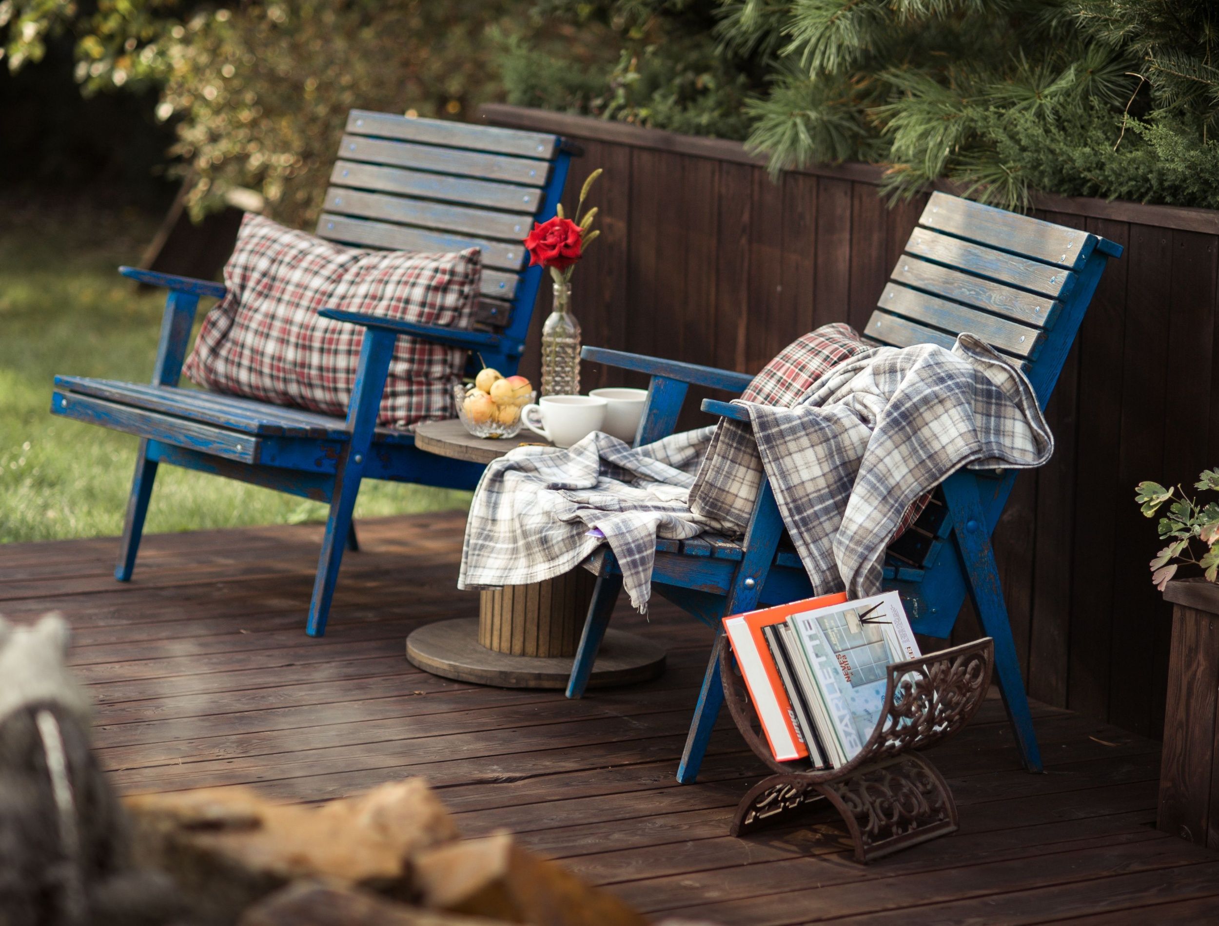 Backyard Boss: Gardening, Backyard projects, Landscaping, Outdoor ...