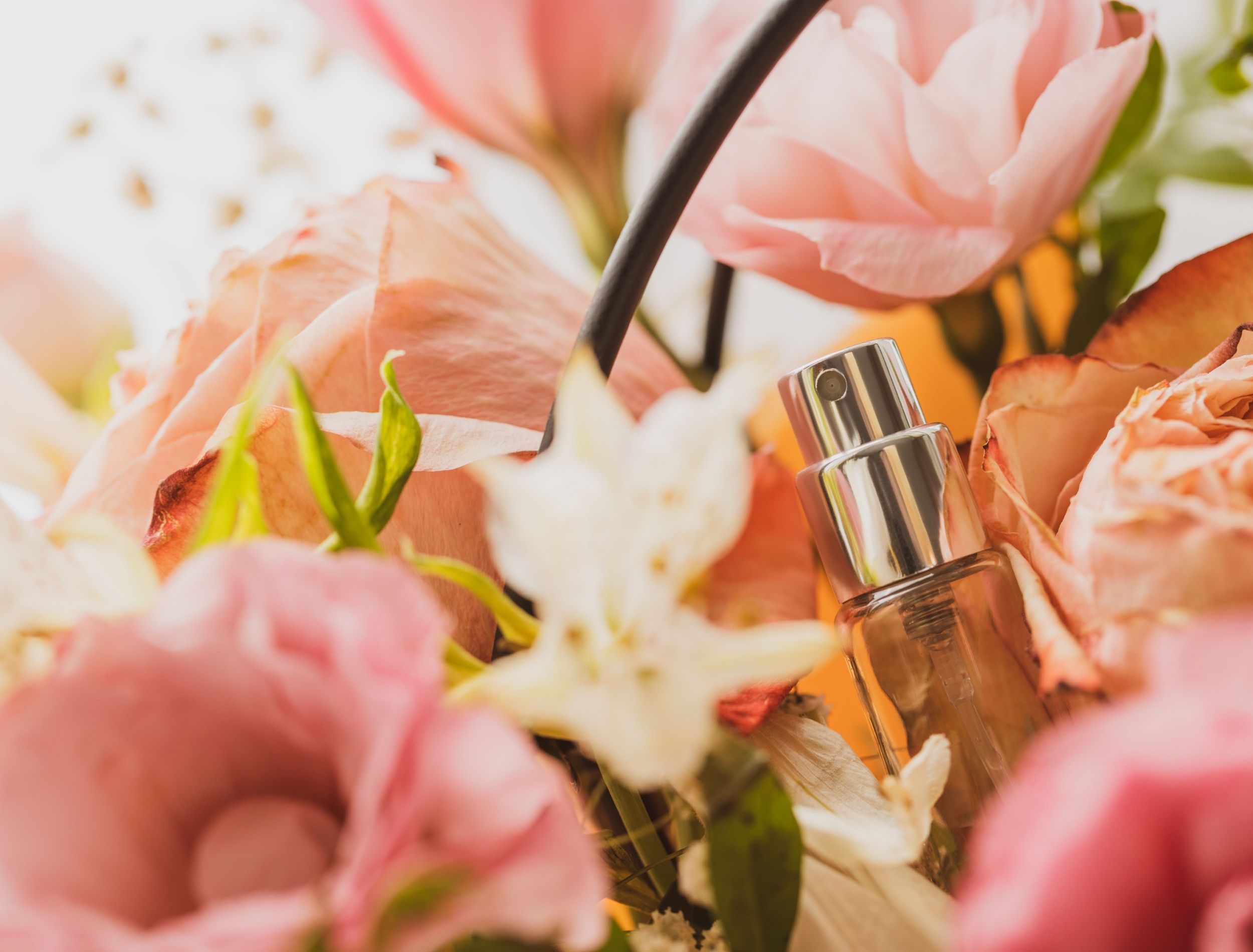 Transform Your Garden into a Floral Sanctuary with These Fragrant Blooms