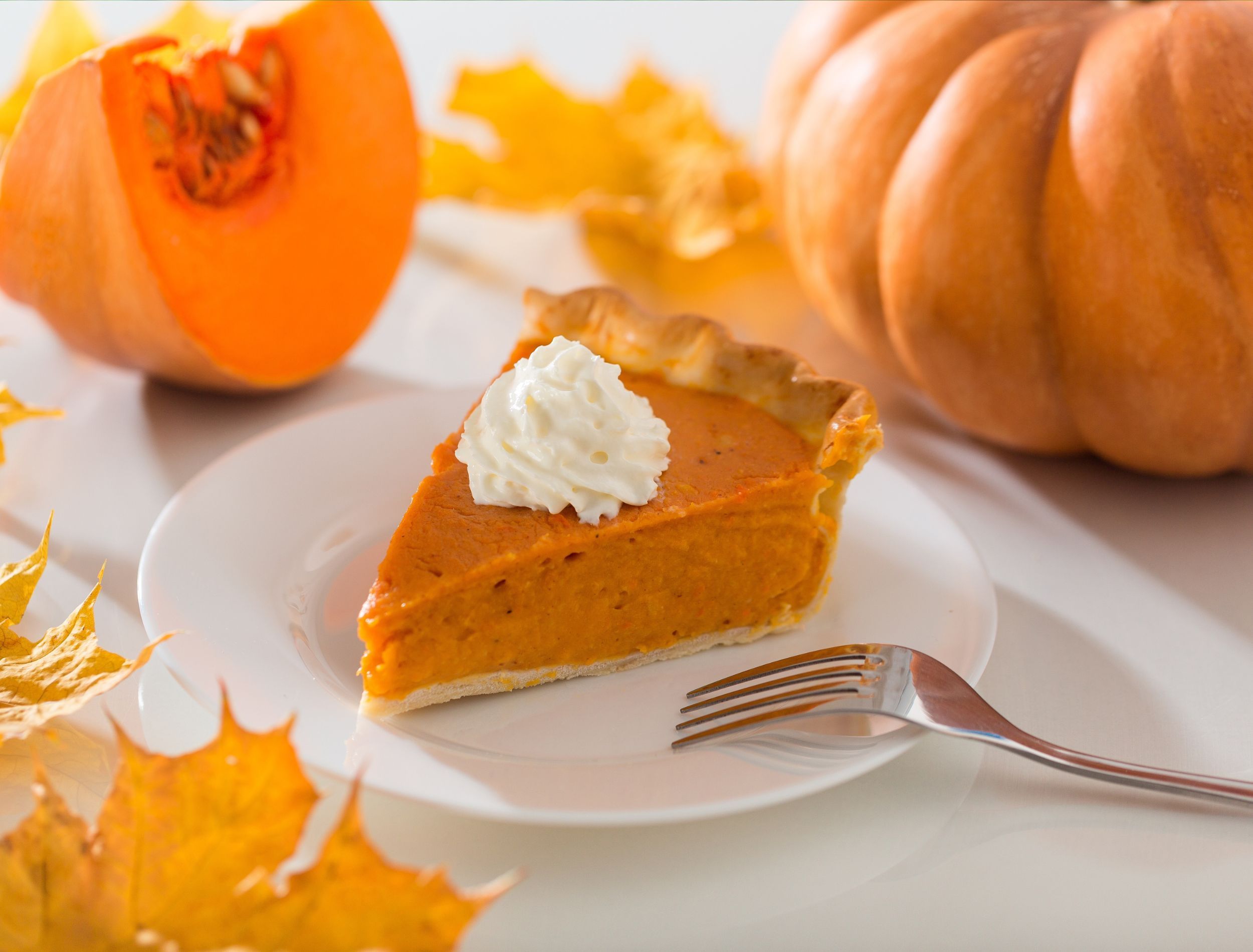 5 Vegetables to Plant in Fall for a Spring Harvest