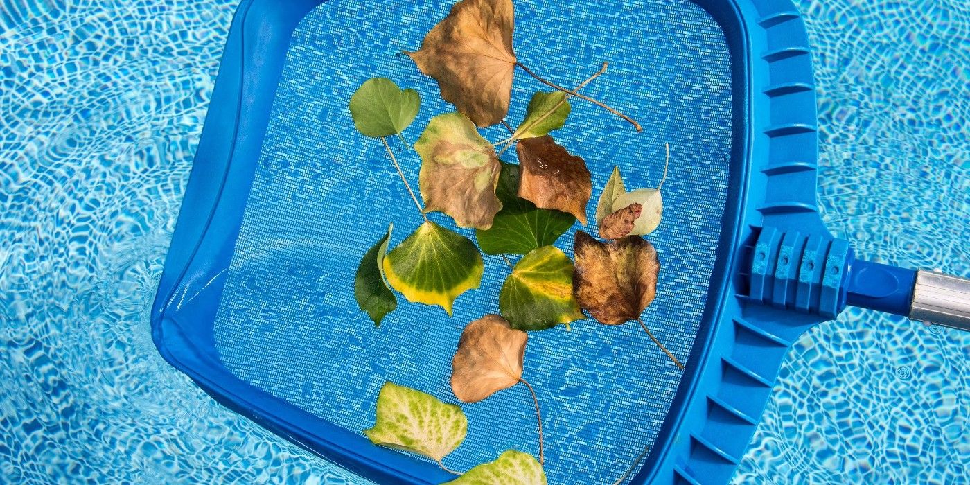 Parts of the Yard Where You Should Clear Fall Leaves