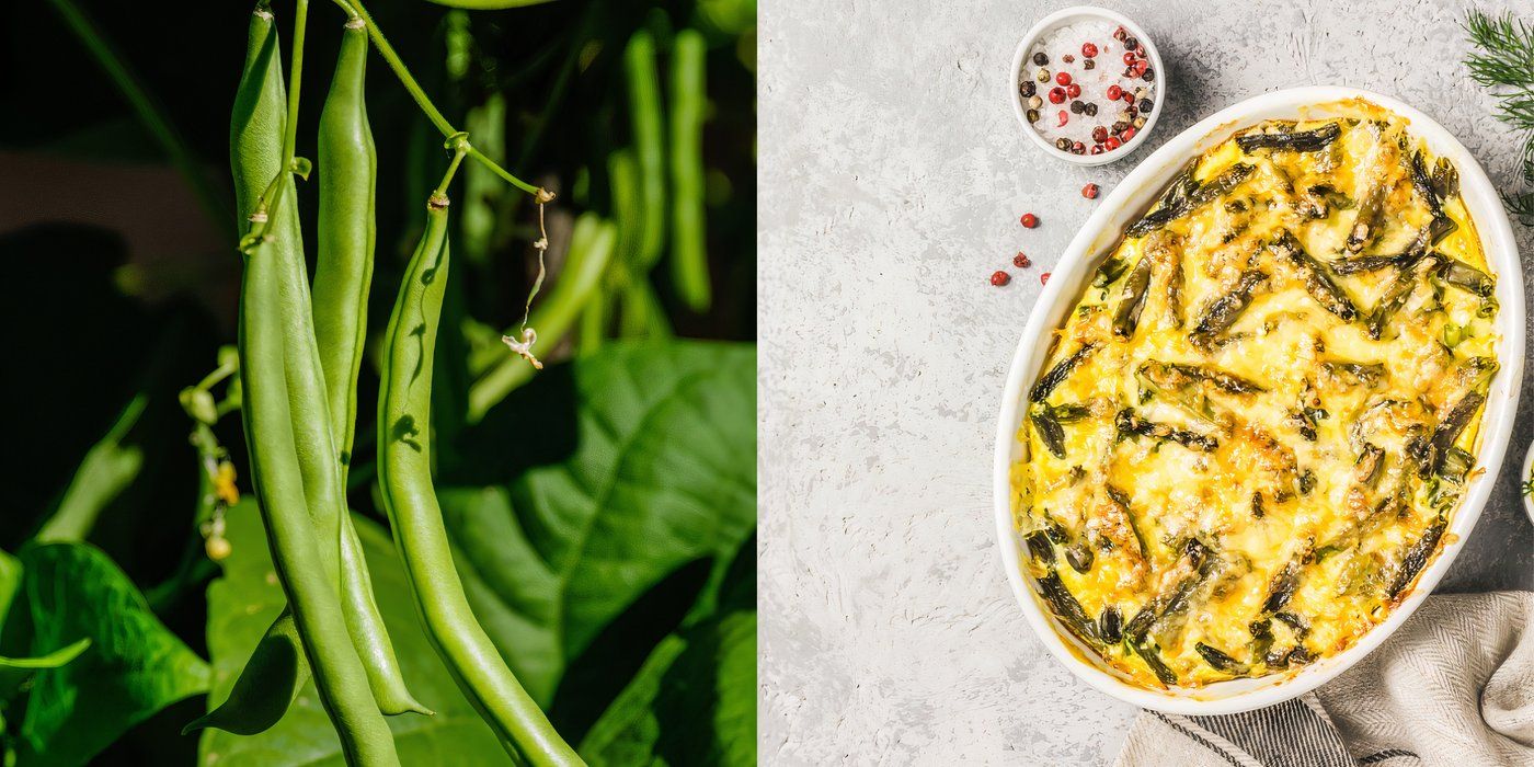 Use 5 Kinds of Beans to Create Comforting Casseroles