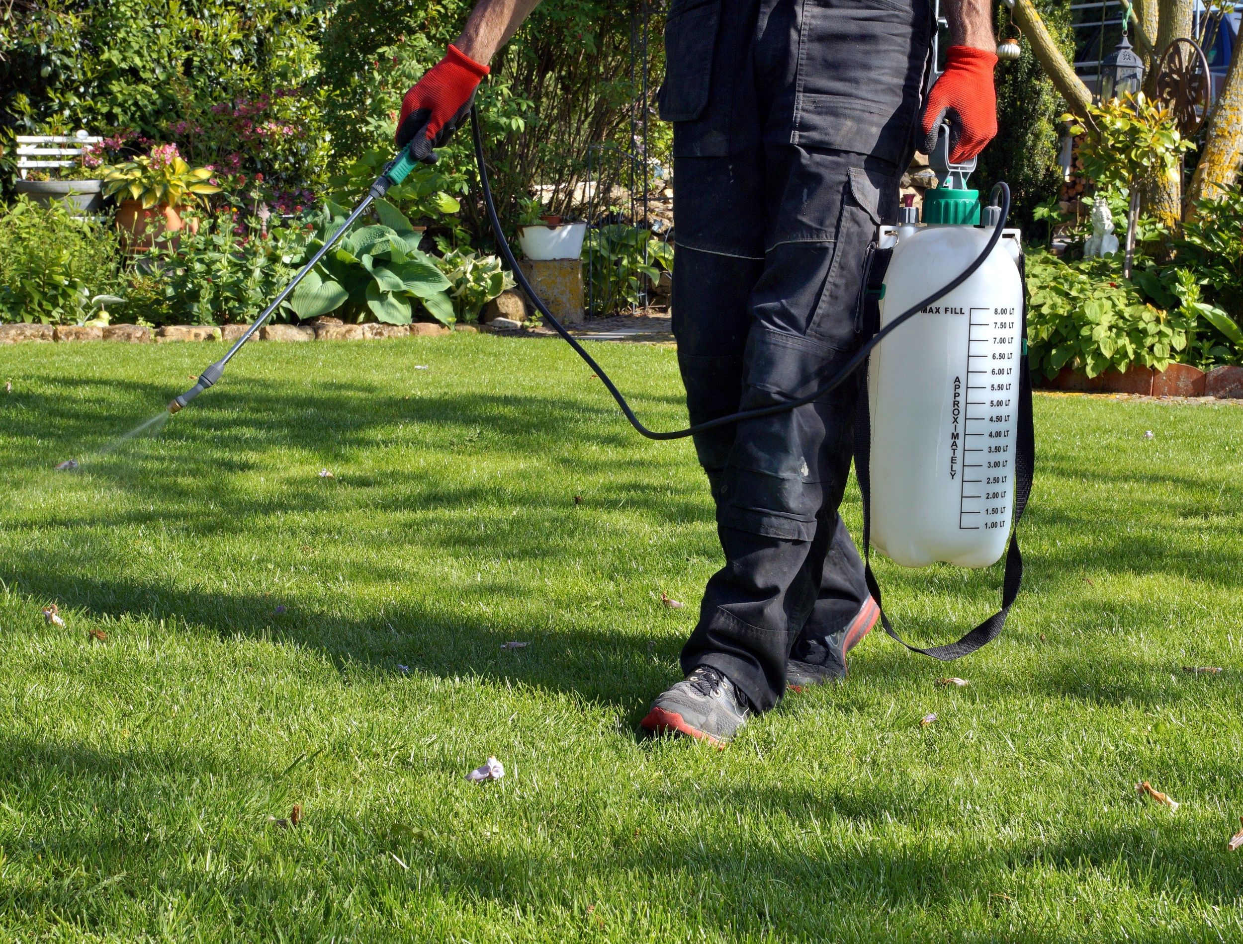 Does Liquid Lawn Aeration Really Work? Does Liquid Lawn Aeration Really Work?