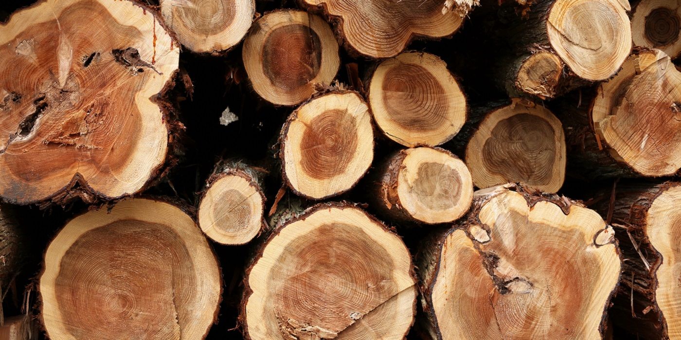 Does Cedar Make Good Firewood?