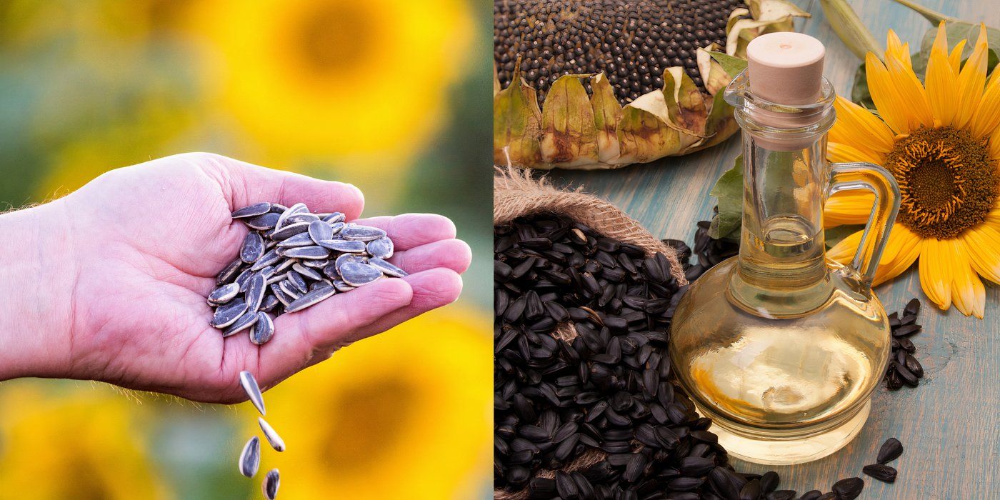 Which Veggies Make the Healthiest Cooking Oil?