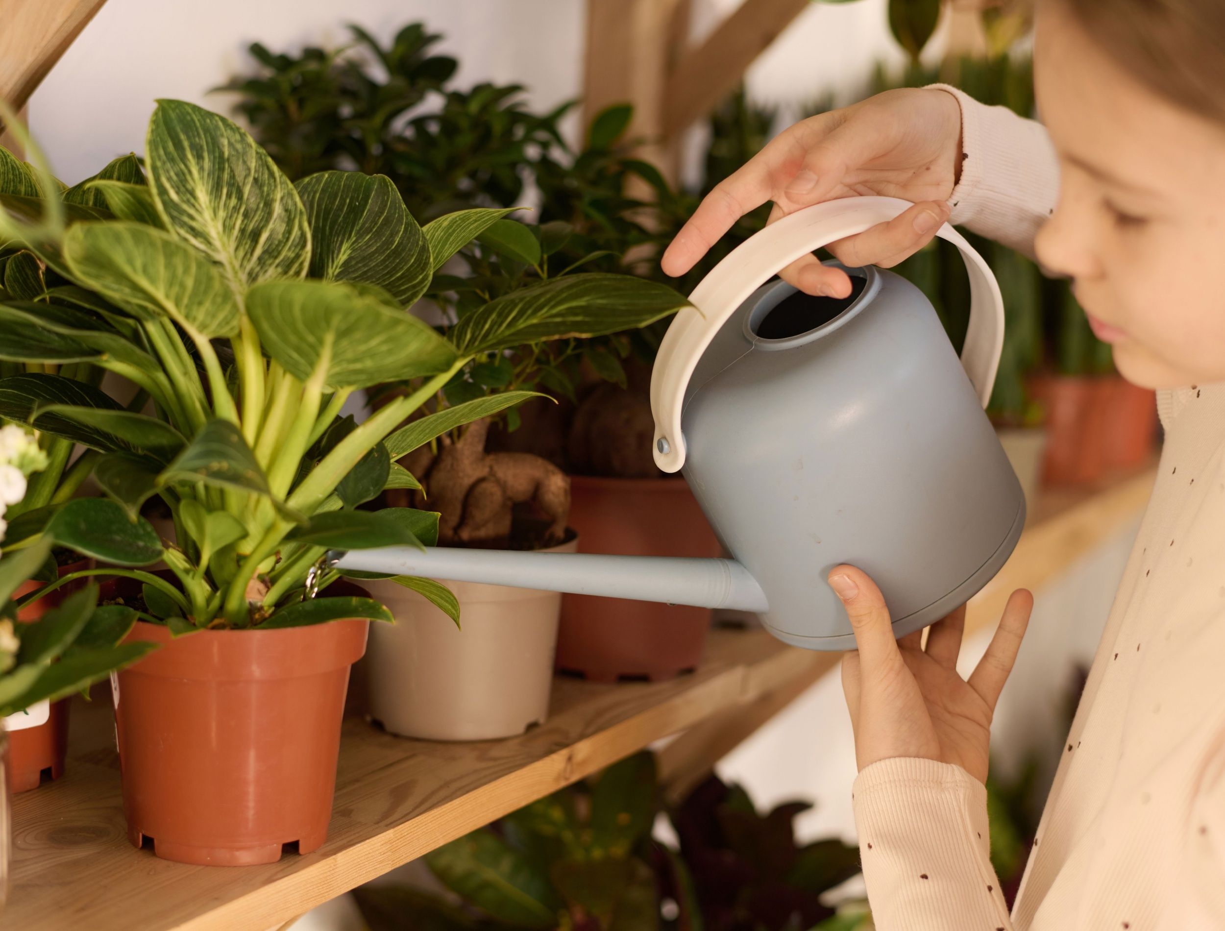 Consistent Care: The Benefits of Distilled Water Quality in Gardening