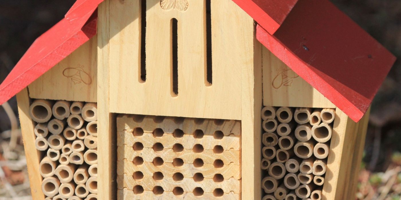 Build Your Own DIY Bug Hotels: 5 Fun Projects to Attract Garden Helpers