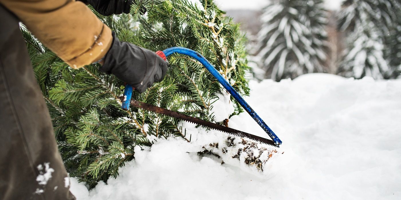 How to Stop Christmas Tree Needles From Falling Off