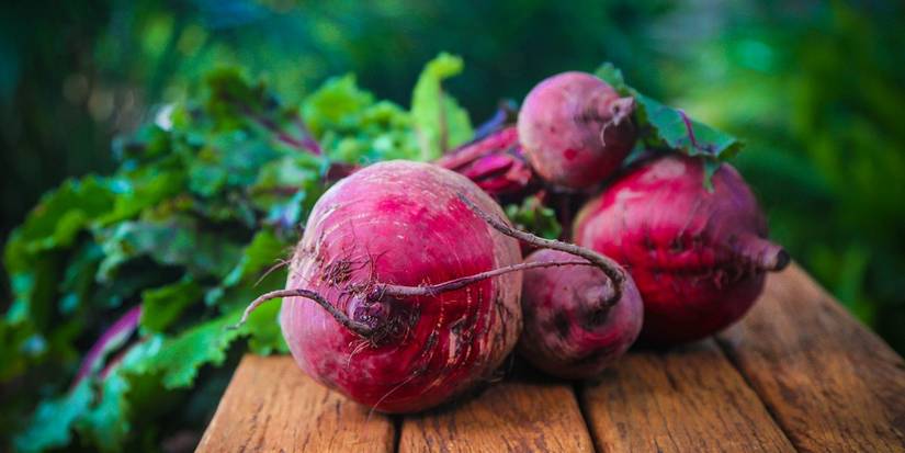 These Are the Best Vegetables to Plant in December