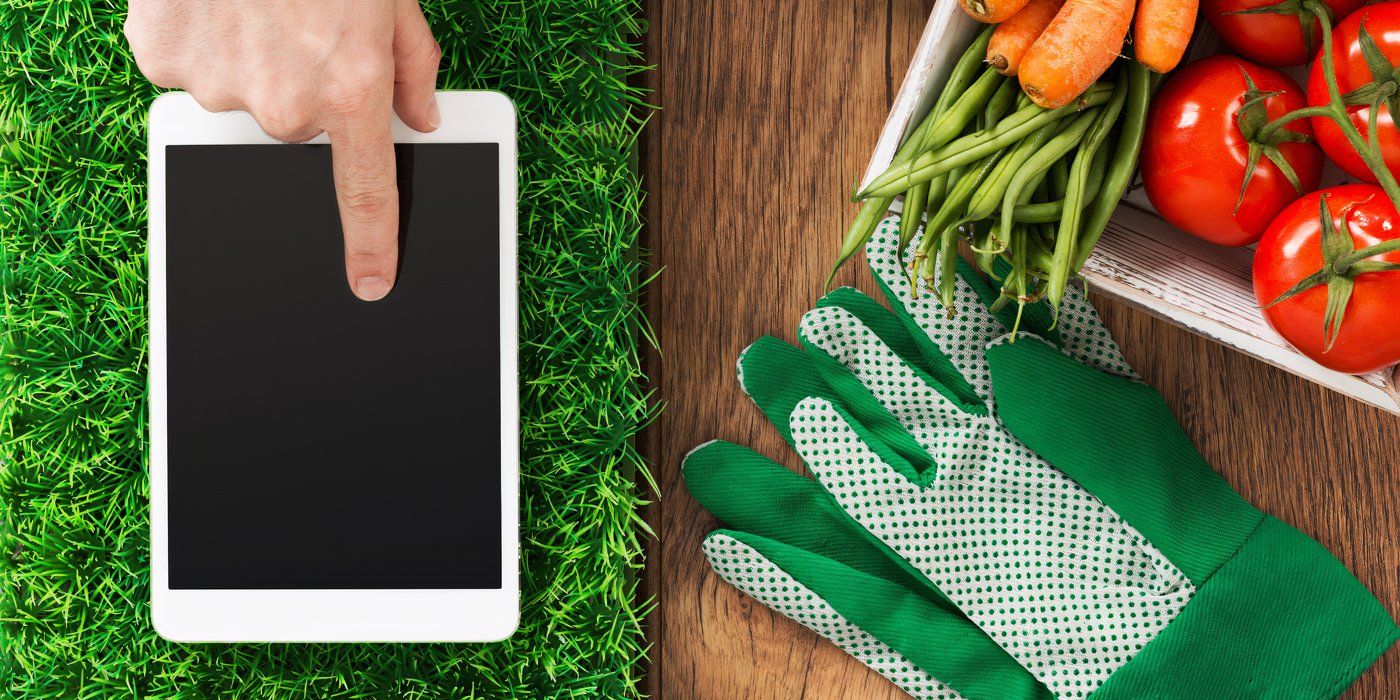 Gardening Gadgets: 5 of the Coolest Tech Gifts This Year