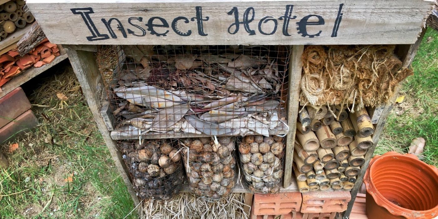 Build Your Own DIY Bug Hotels: 5 Fun Projects to Attract Garden Helpers