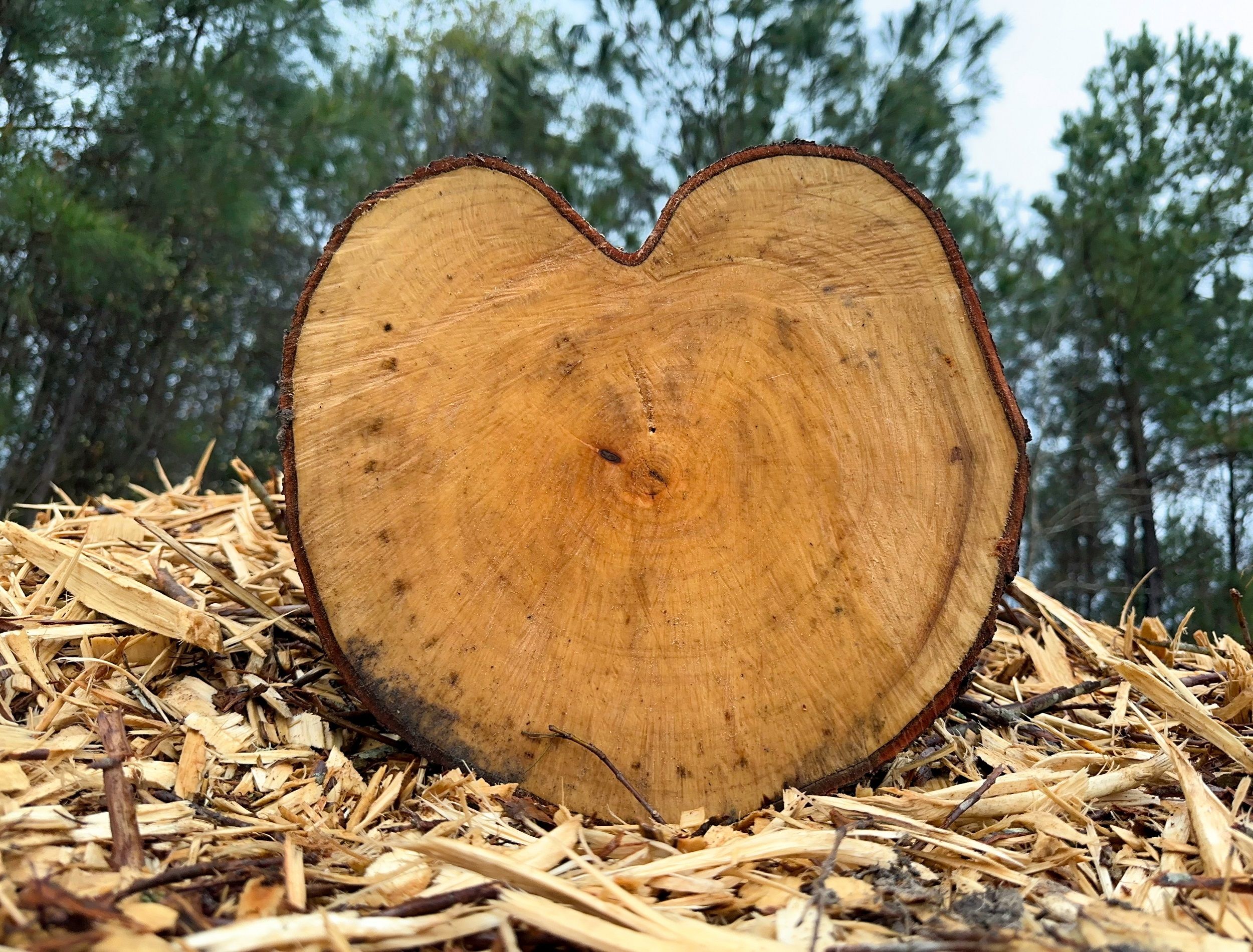 Wheelbarrows Sizing Guide