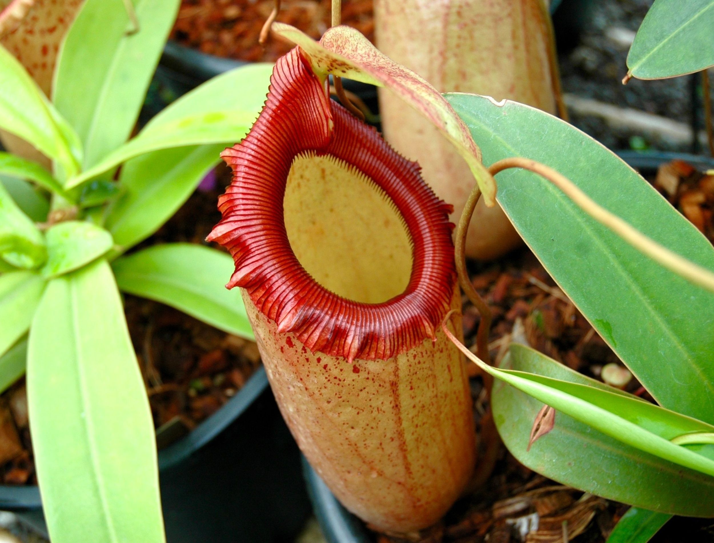 27 of the Best Fish Recipes to Try This Winter