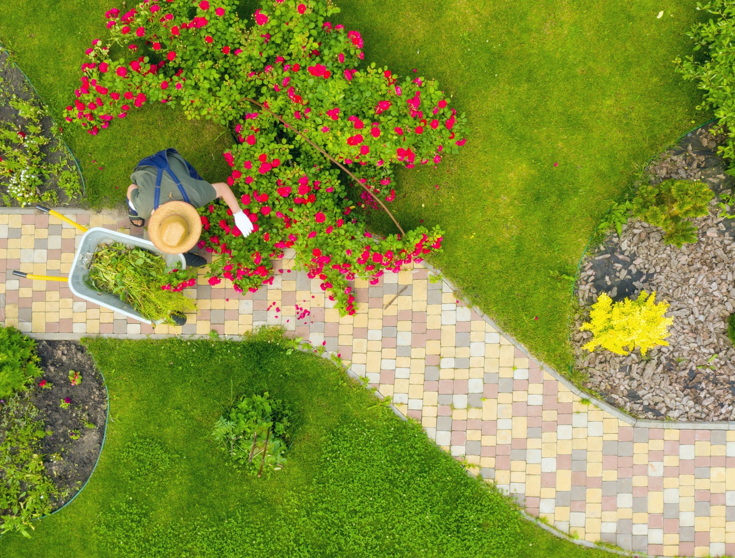 Create a Beautiful Garden Nature Path: A Complete Guide