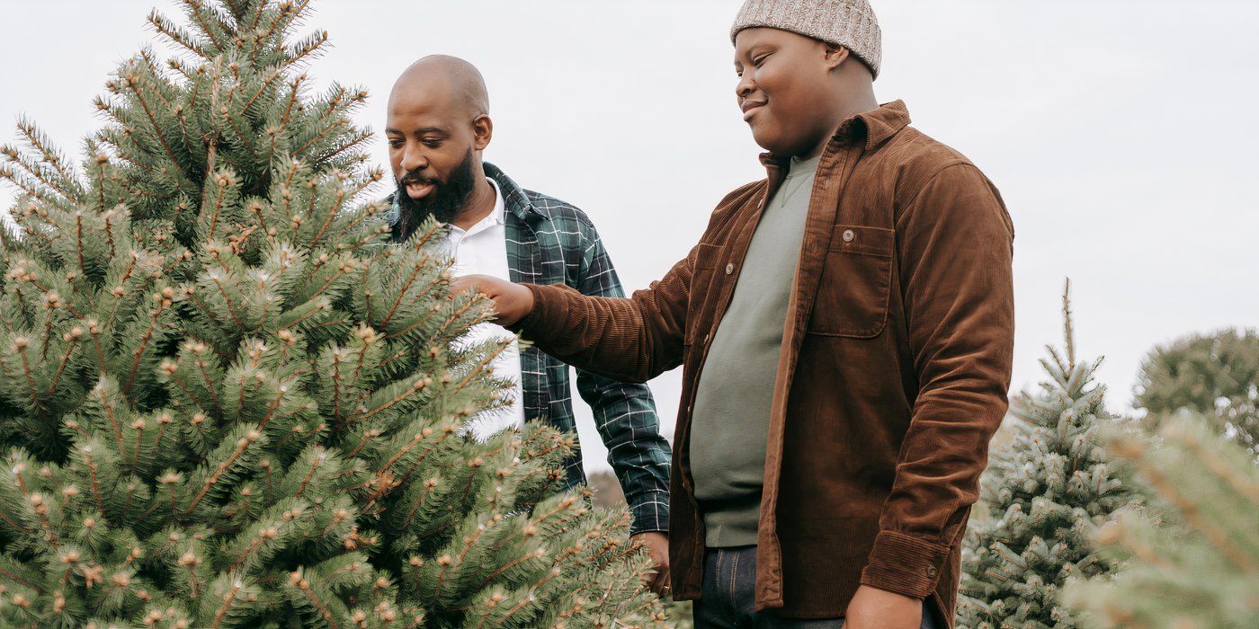 What is the Best Smelling Christmas Tree?