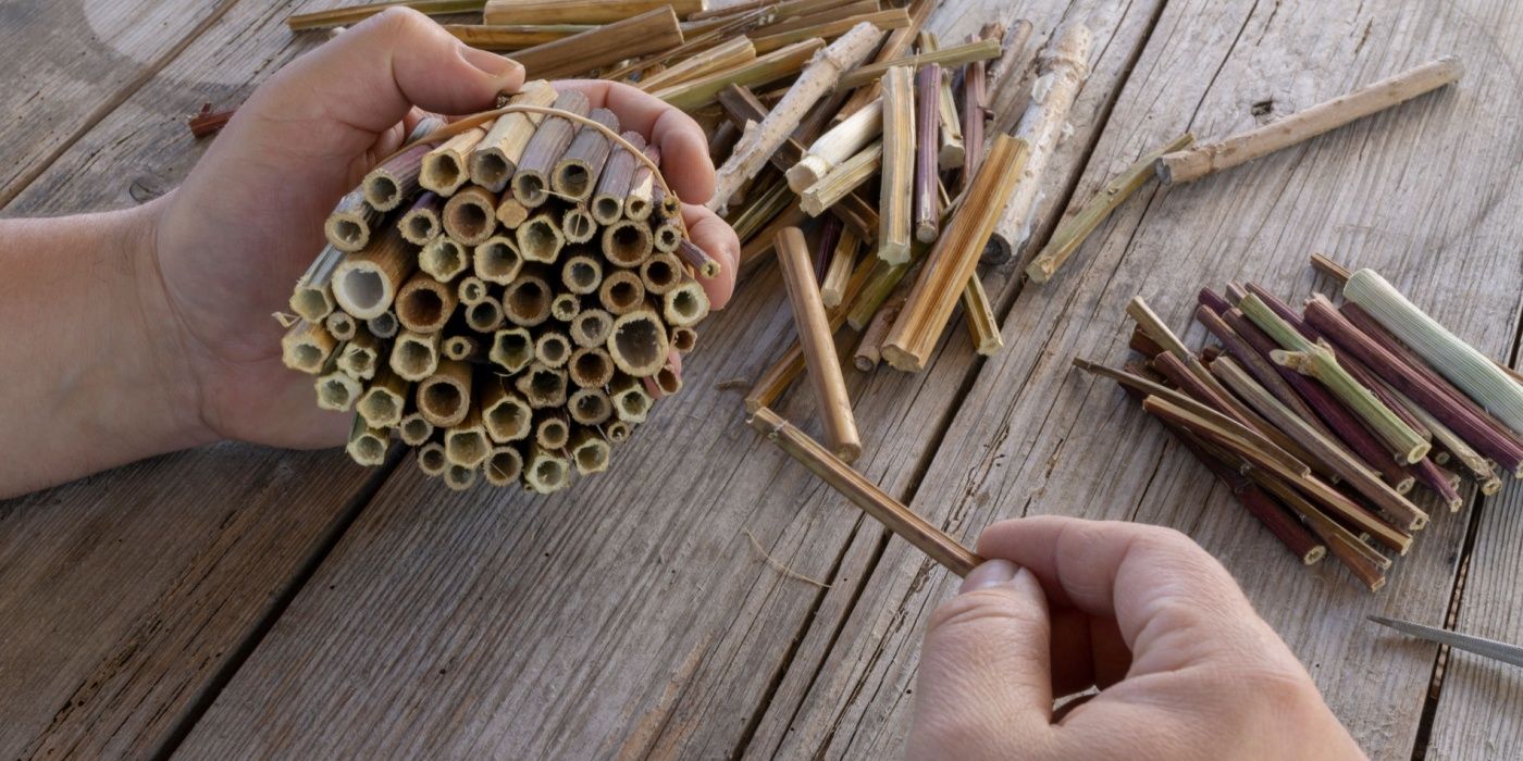 Build Your Own DIY Bug Hotels: 5 Fun Projects to Attract Garden Helpers