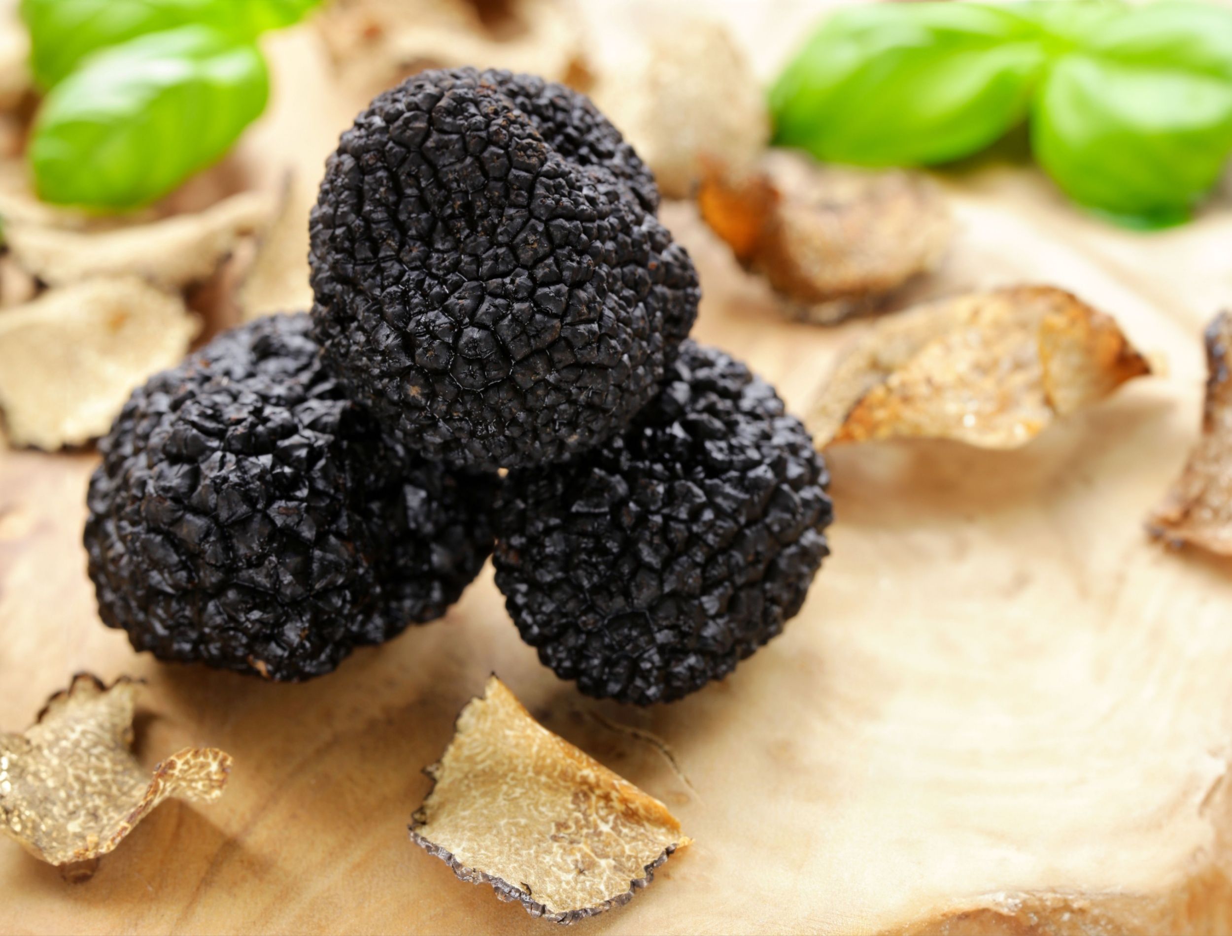 The 5 Most Valuable Plants Hiding in Your Backyard