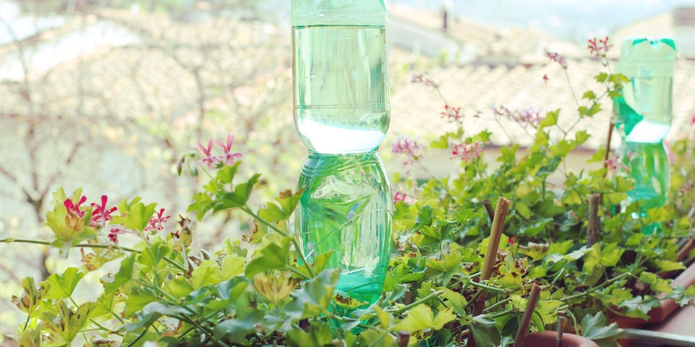 Transform Your Garden with These DIY Self Watering Plant System Ideas