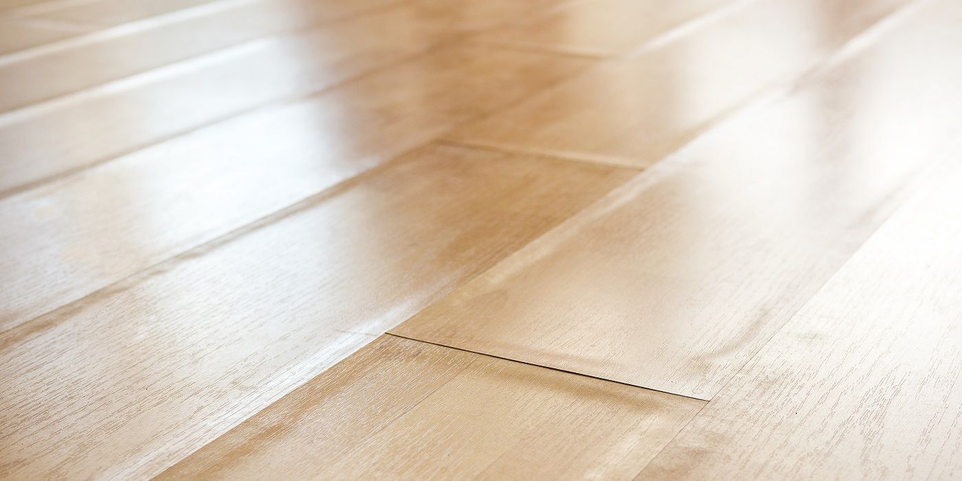 Find Out Why Your Tree Is Leaning and Fix It!