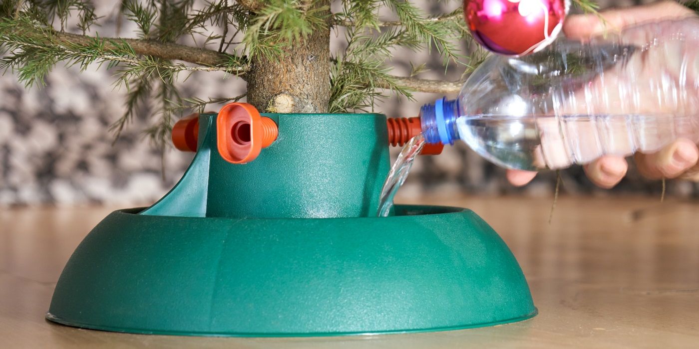 How to Stop Christmas Tree Needles From Falling Off
