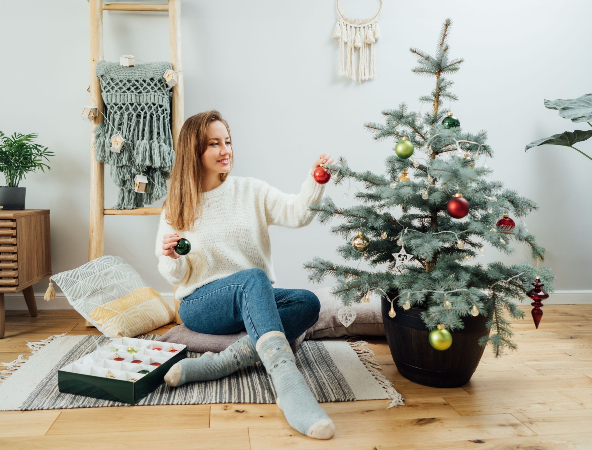 Comparing Potted Christmas Trees vs Cut Trees