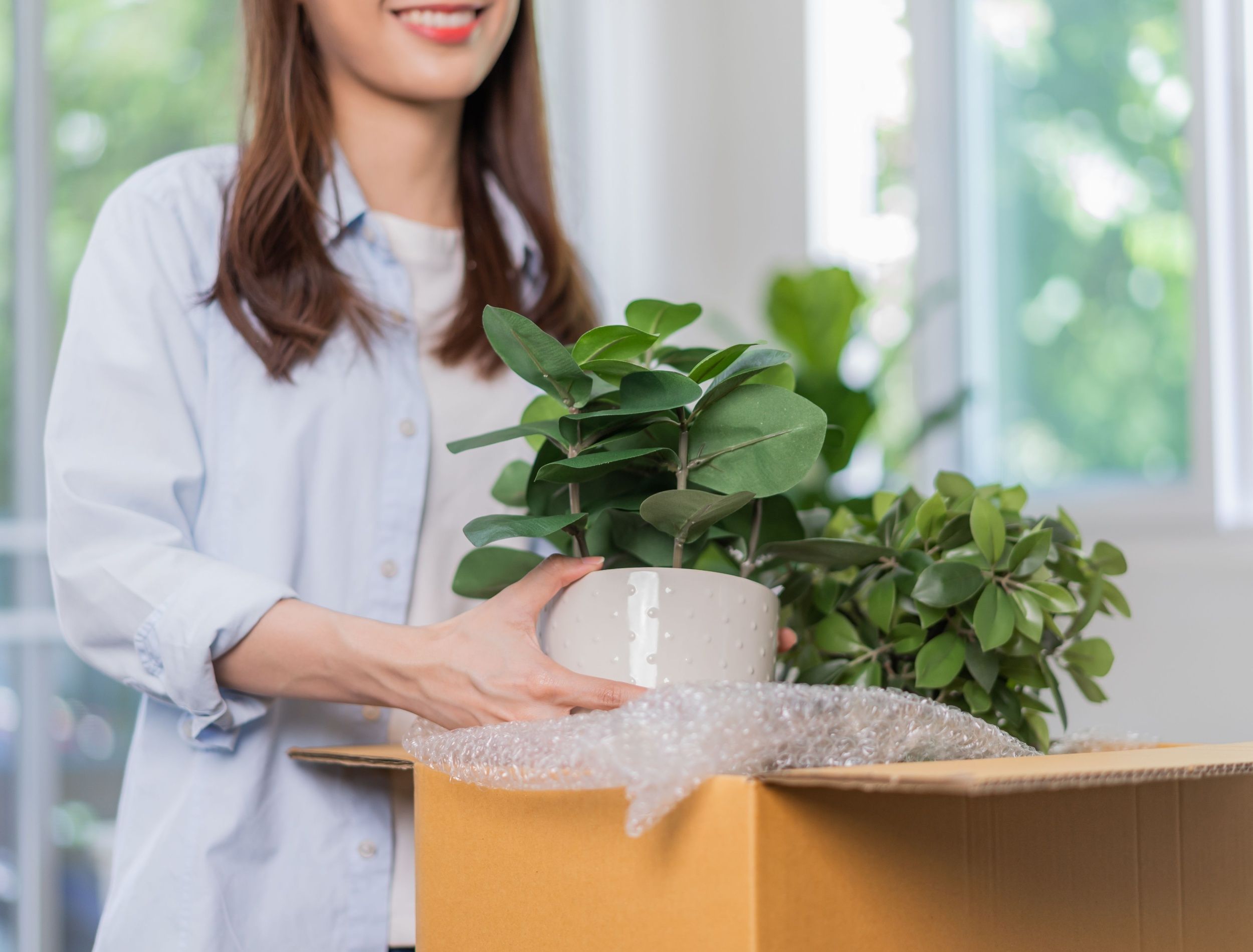 A Garden of Surprises: Monthly Subscription Boxes for Every Green Thumb