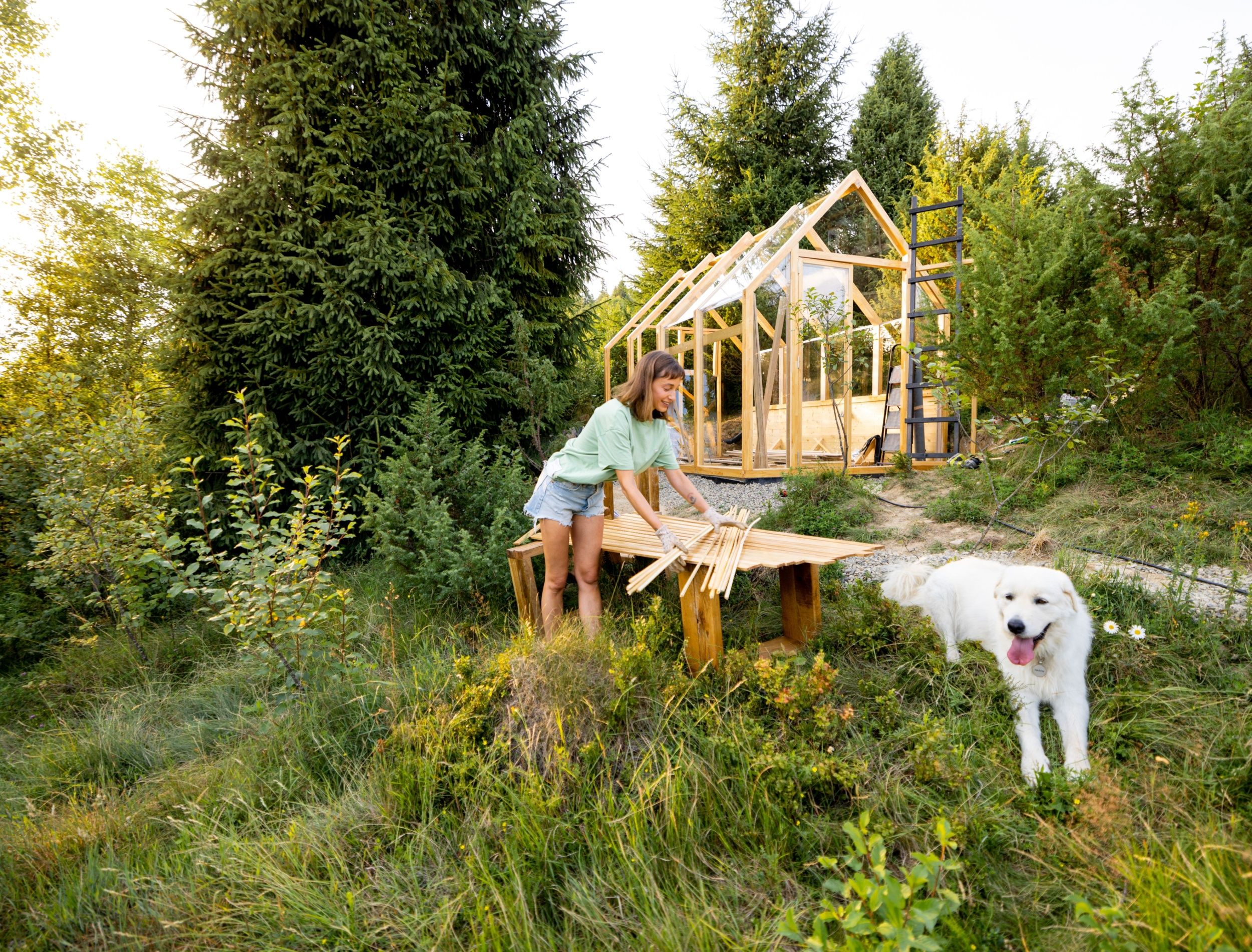 Create Your Dream Backyard with a DIY Greenhouse: Step-by-Step Guide