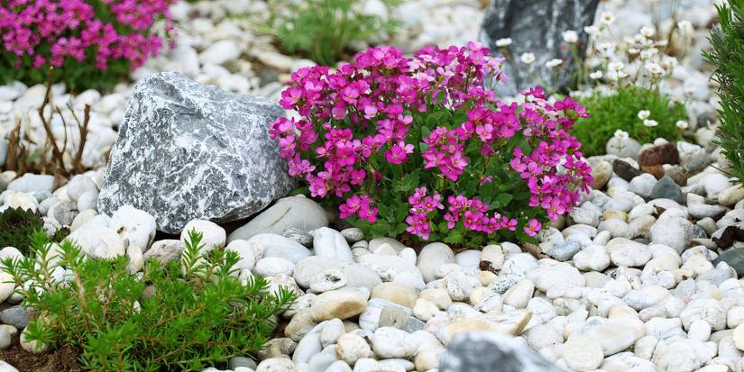 Transform Your Backyard With Imperfect Gardening Techniques
