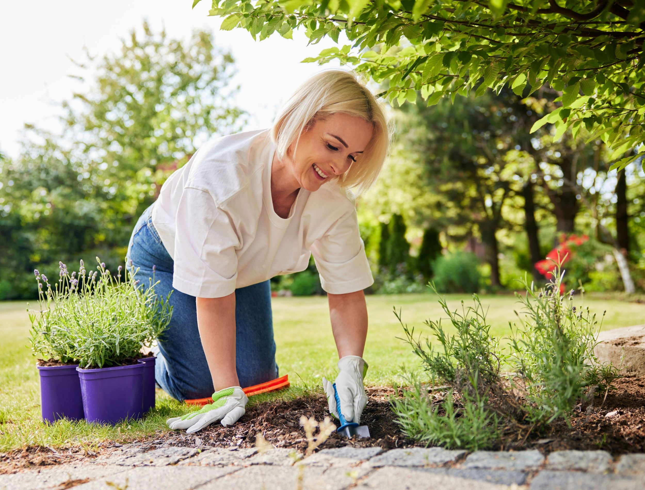Beginner's Guide to Gardening: Tips, Tools, and Creative Garden Ideas
