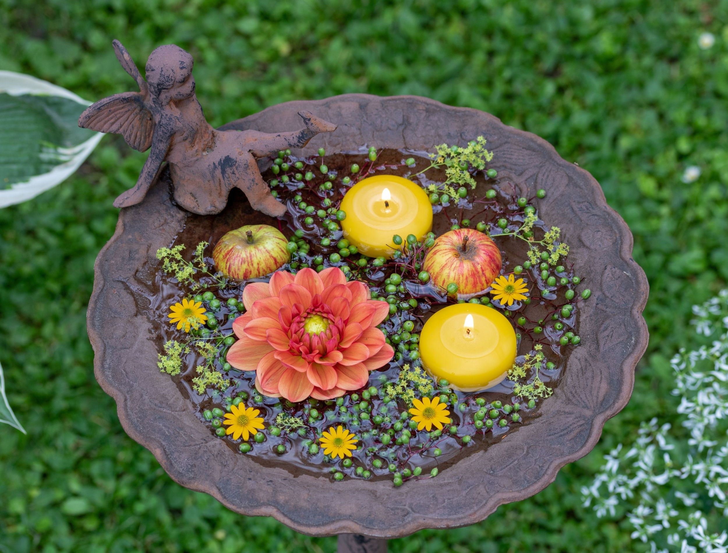 6 Household Items Produced From Plants