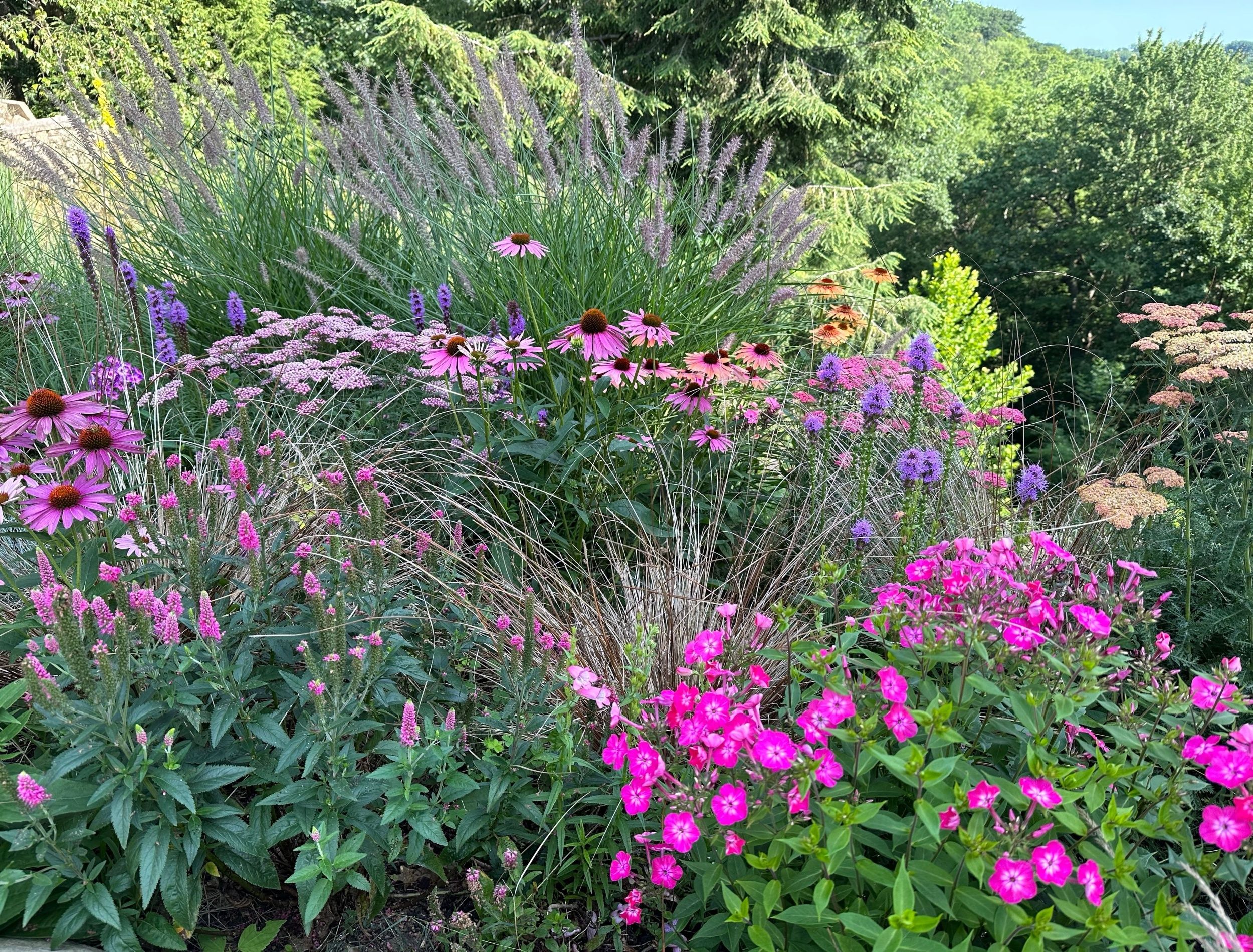 5 Stunning Perennials to Elevate Your Ornamental Grass Garden