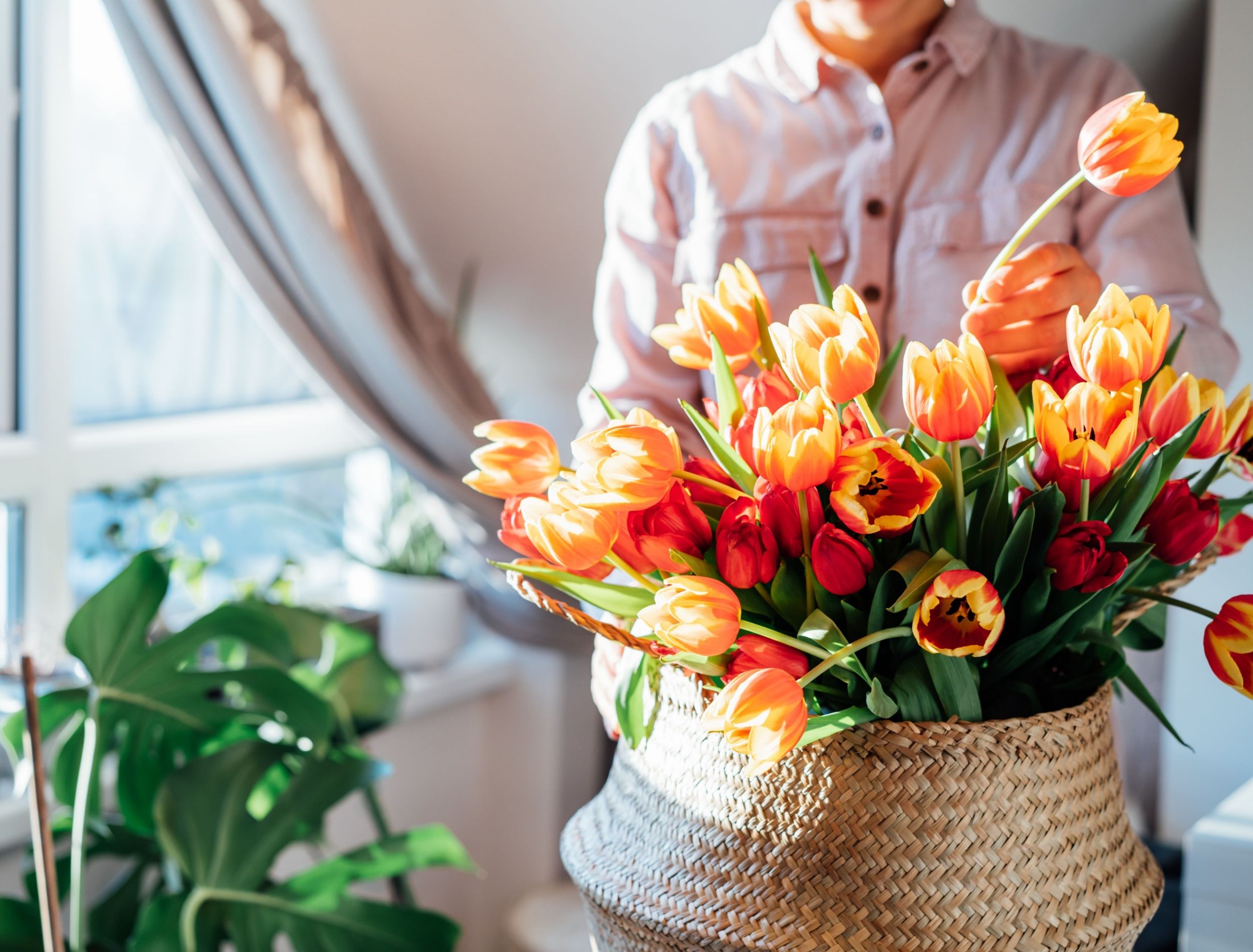 Self-Pollinating Flowers: What Are They and How do They Work?