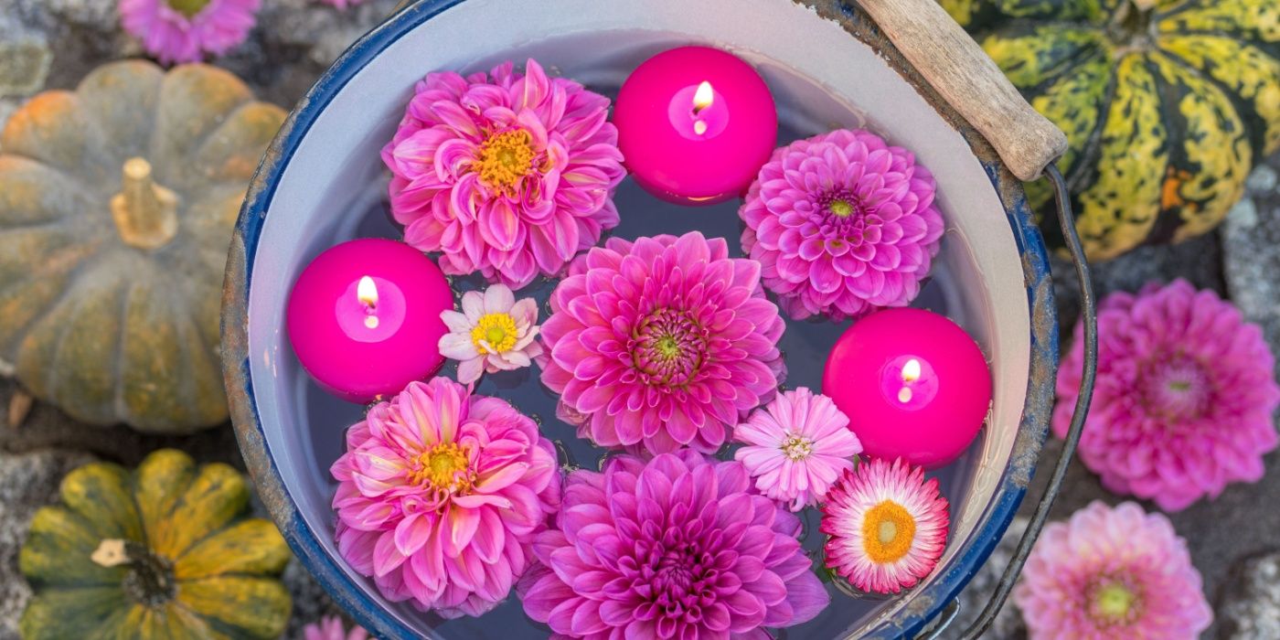 Transform Your Backyard with These 5 DIY Floating Gardens