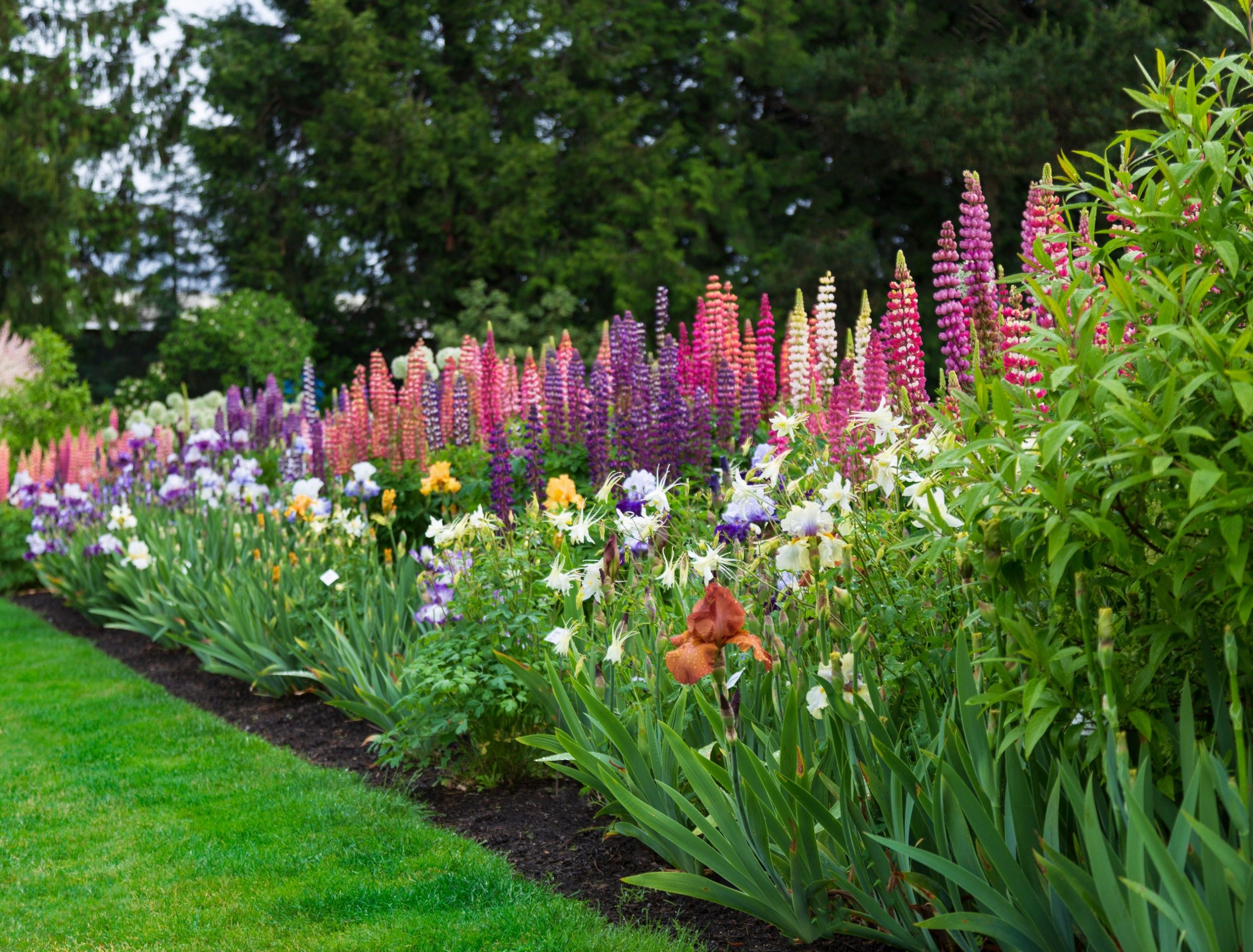 Lush Flowers, Water Features, and More: The Best English Garden Design Tips