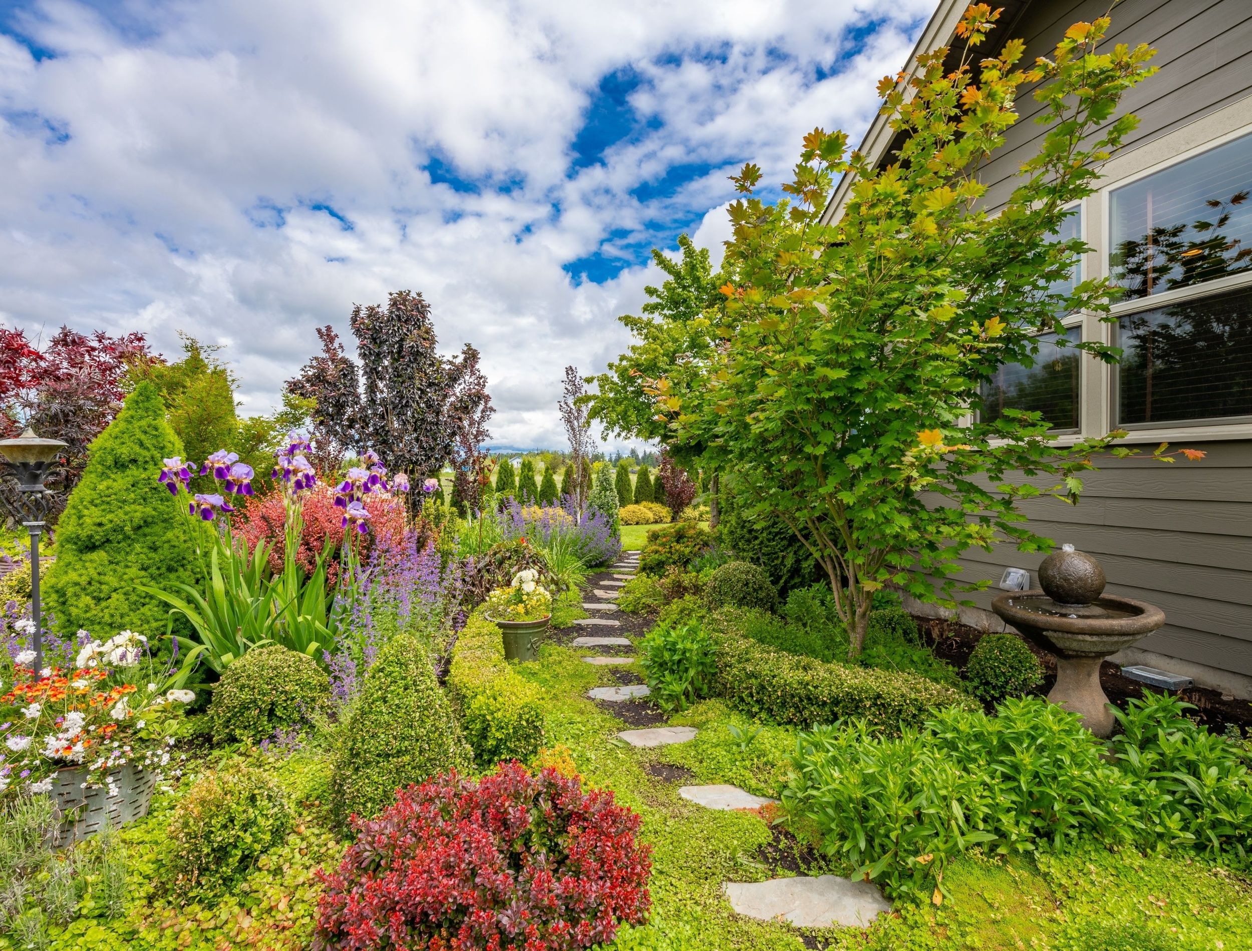 8 Naturalized Landscaping Ideas