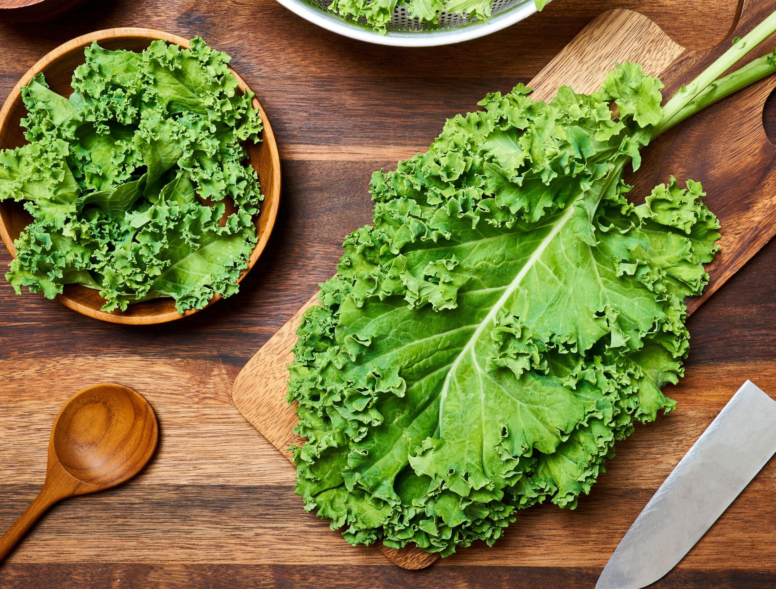 Magnesium Chloride vs. Calcium Chloride Ice Melt