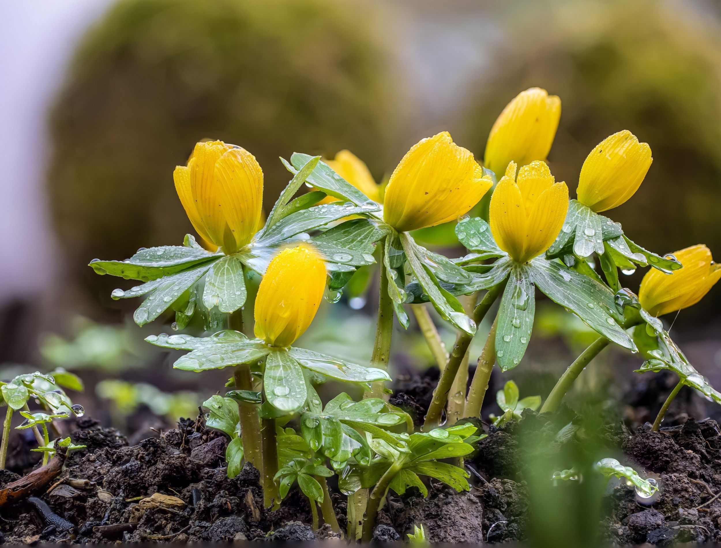 27 of the Best Fish Recipes to Try This Winter