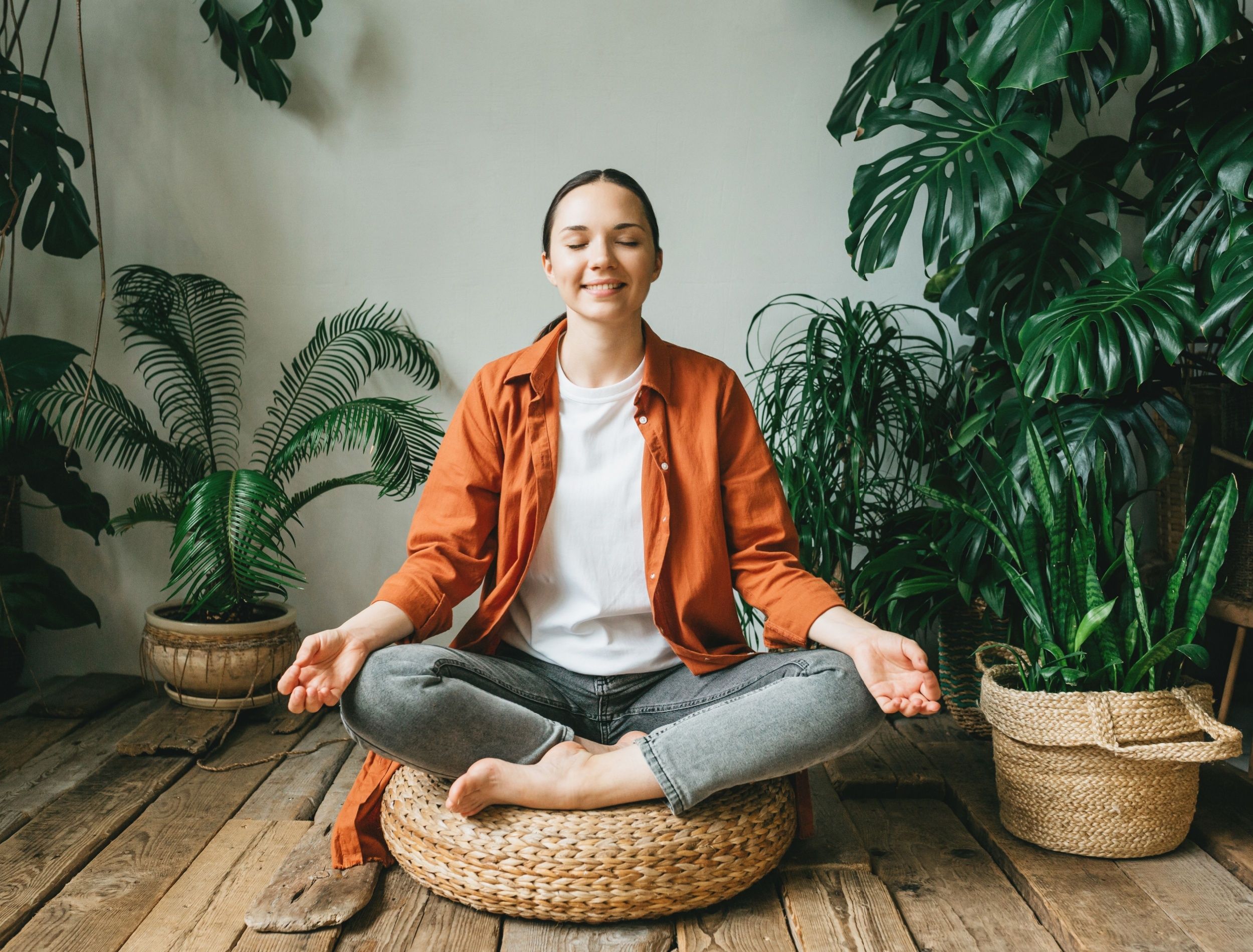 Choose Houseplants That Look Pretty and Boost Your Health