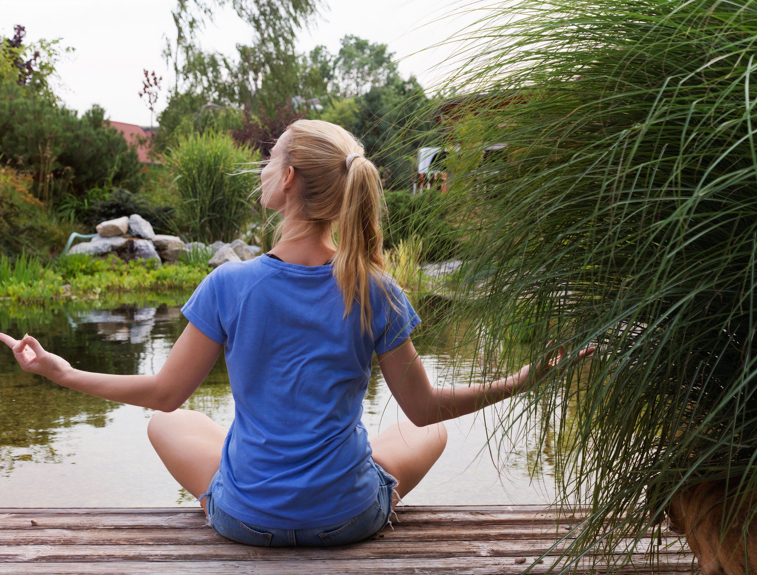 Create Tranquility: Best Plants For a Zen Garden