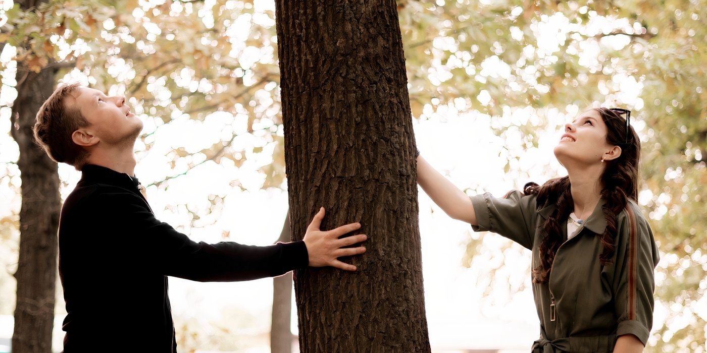 Hidden Gold: Are Your Backyard Trees Worth a Fortune?