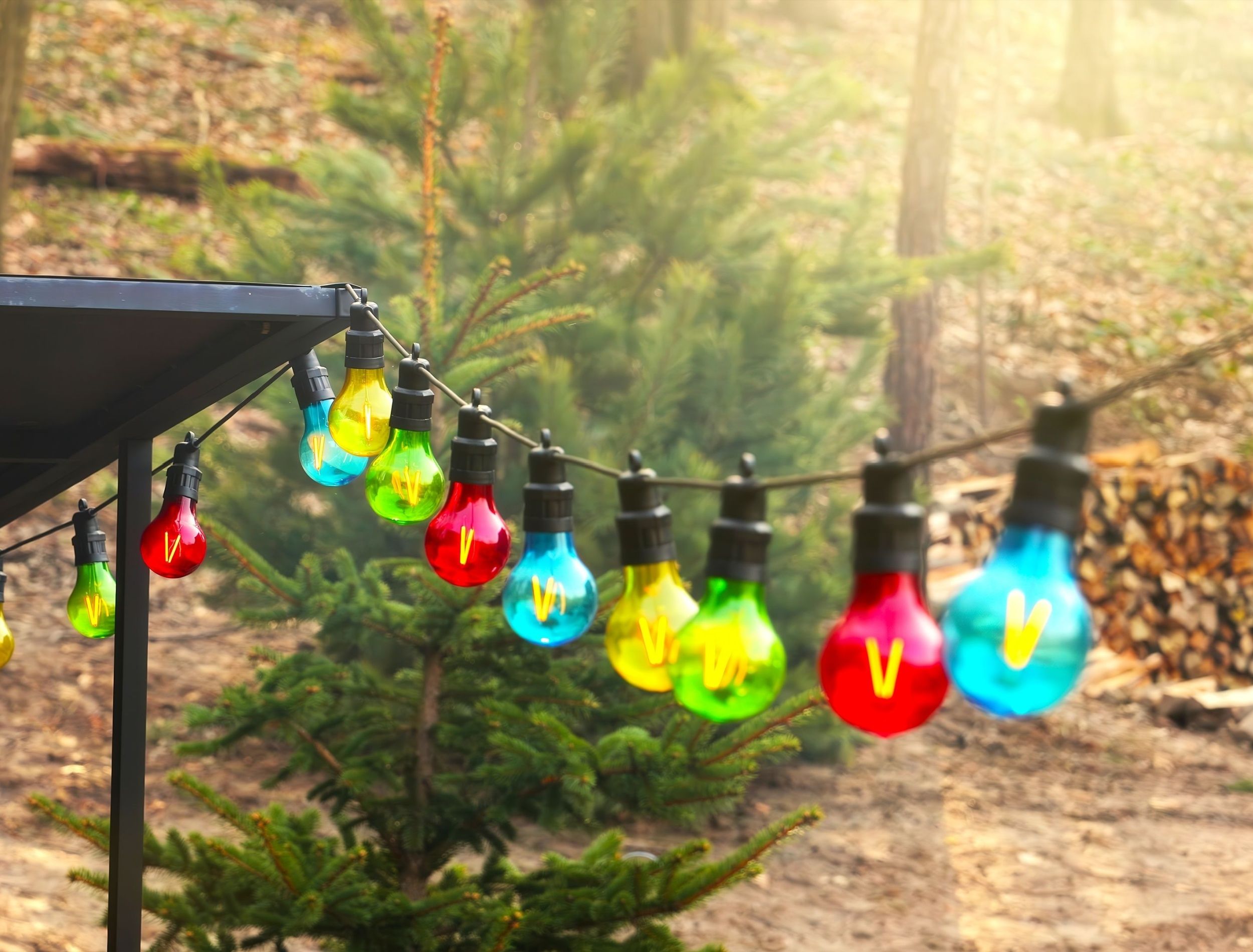 Guide To Pruning Your Kalanchoe Plant