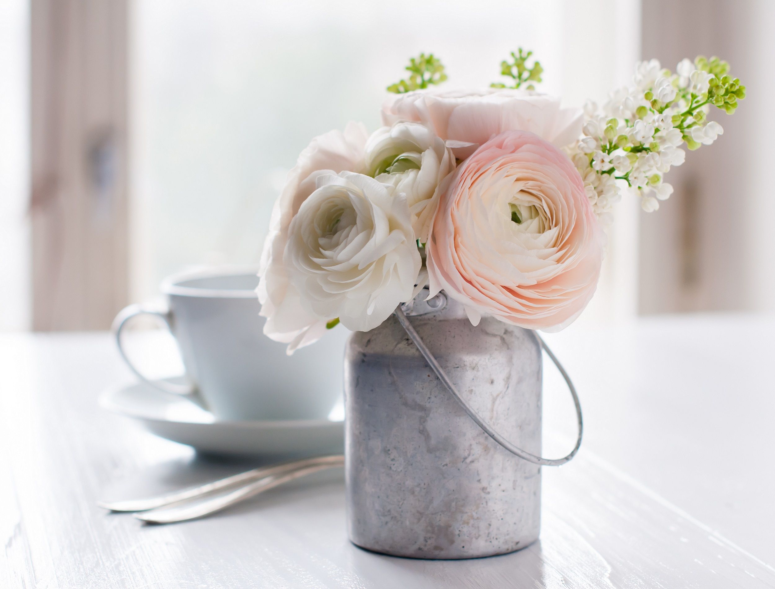 6 Best Spiller Plants For Your Container Garden