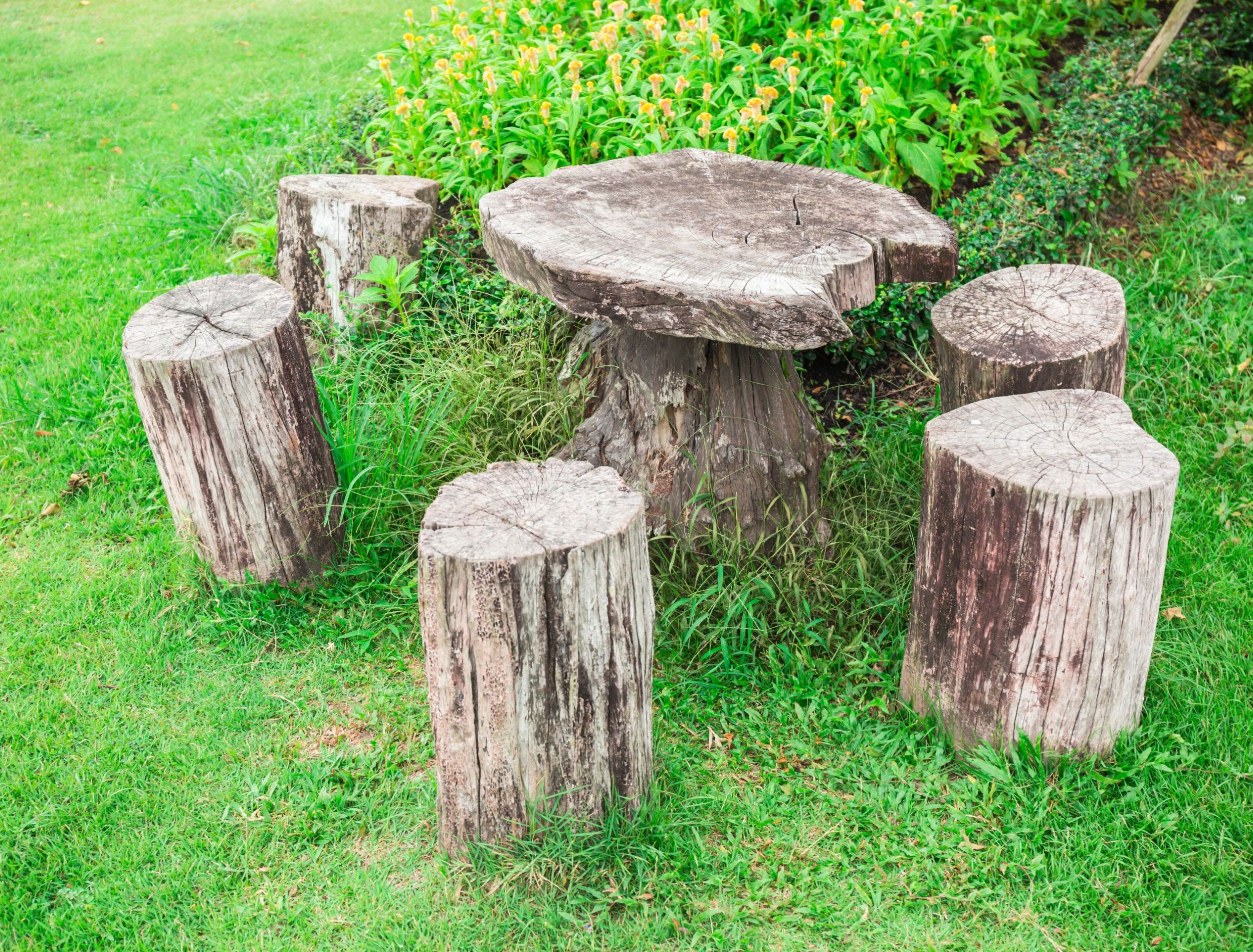 Transform Tree Stumps into Stunning Garden Features