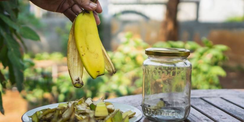 How to Make Banana Peel Fertilizer for Your Garden