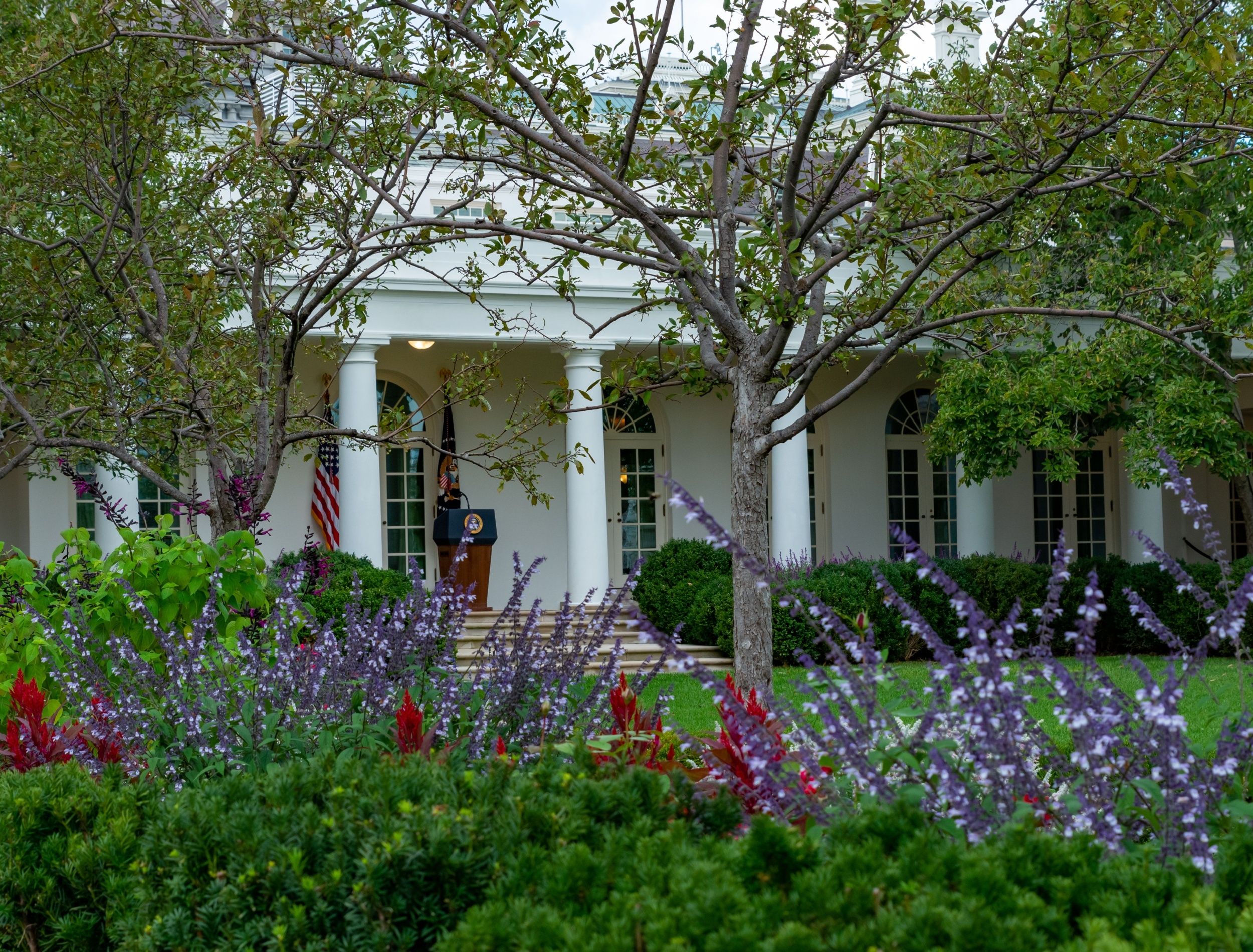 White House Rose Garden Podium Why Trump Increasingly Gives Speeches