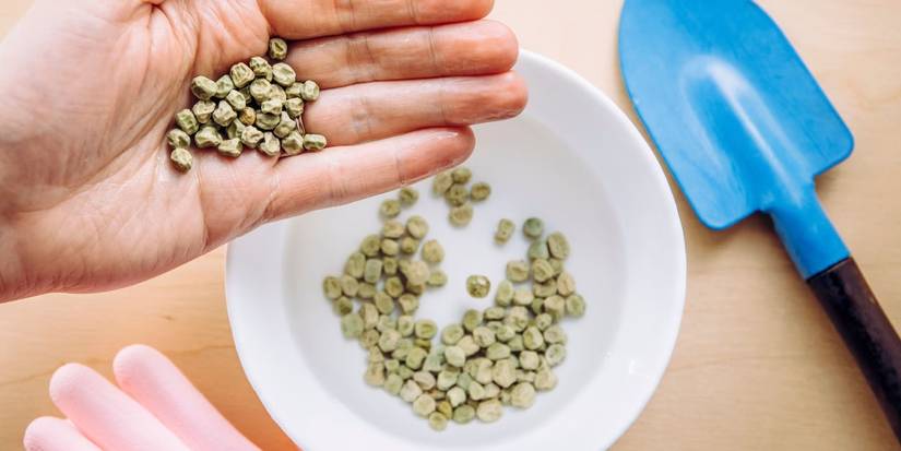 Wearable Seeds: How Clothes Can Grow Herbs and Microgreens