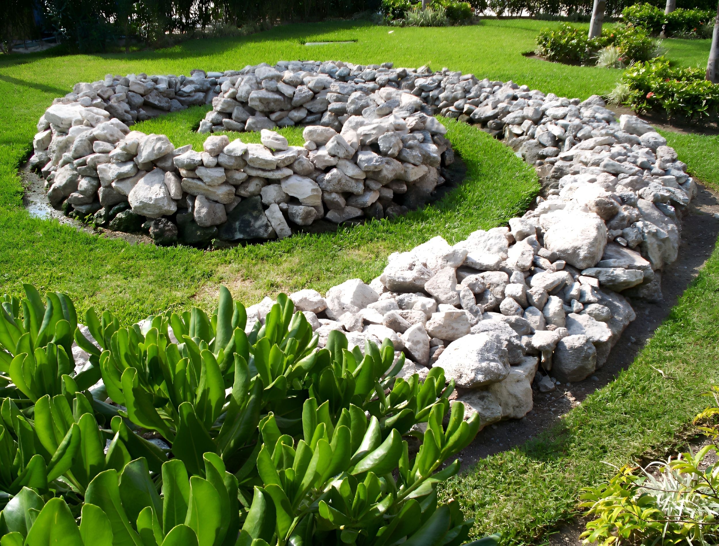 6 Houseplants That Help Remove Dust From Your Home